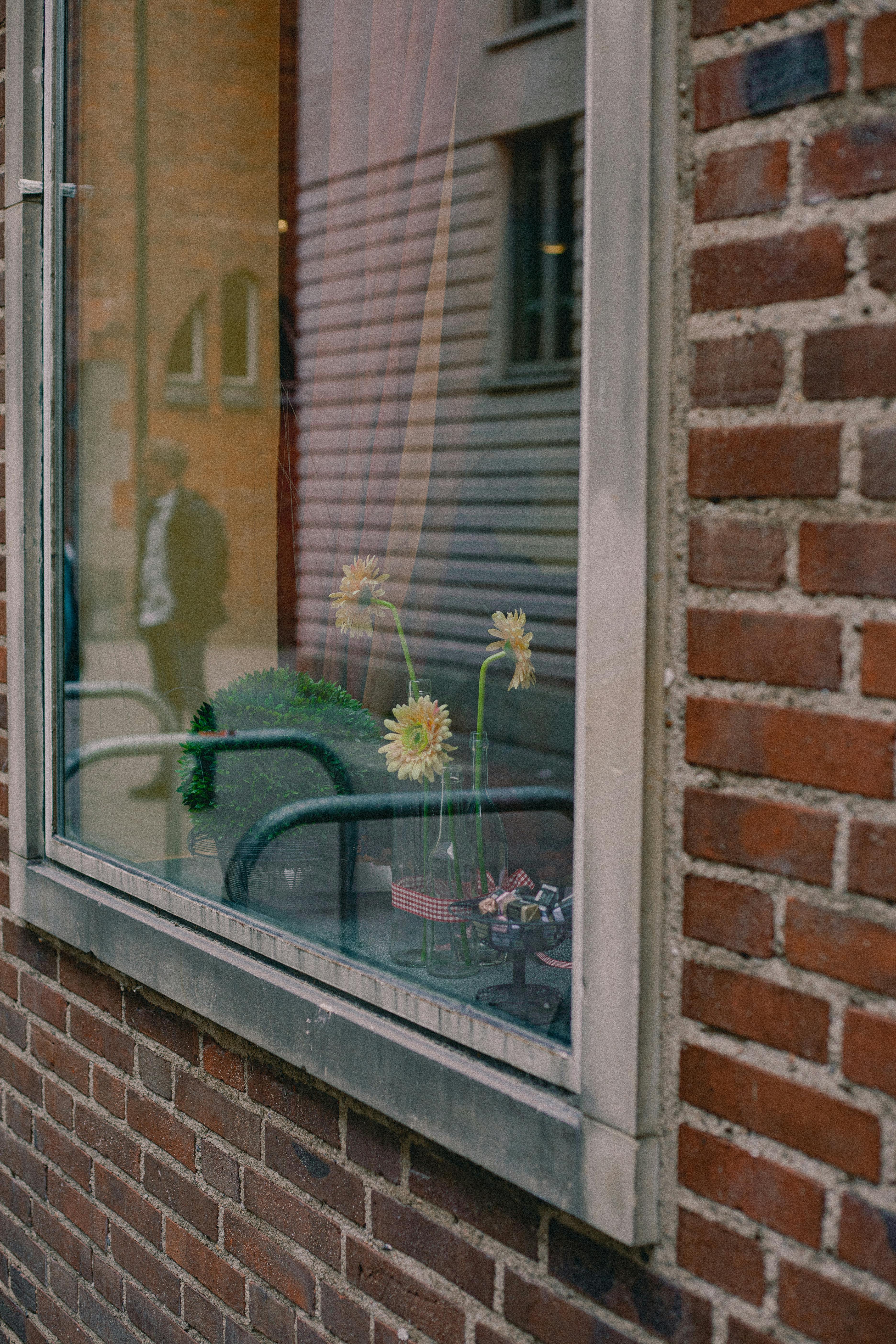 Reflection of Standing Person in Window · Free Stock Photo