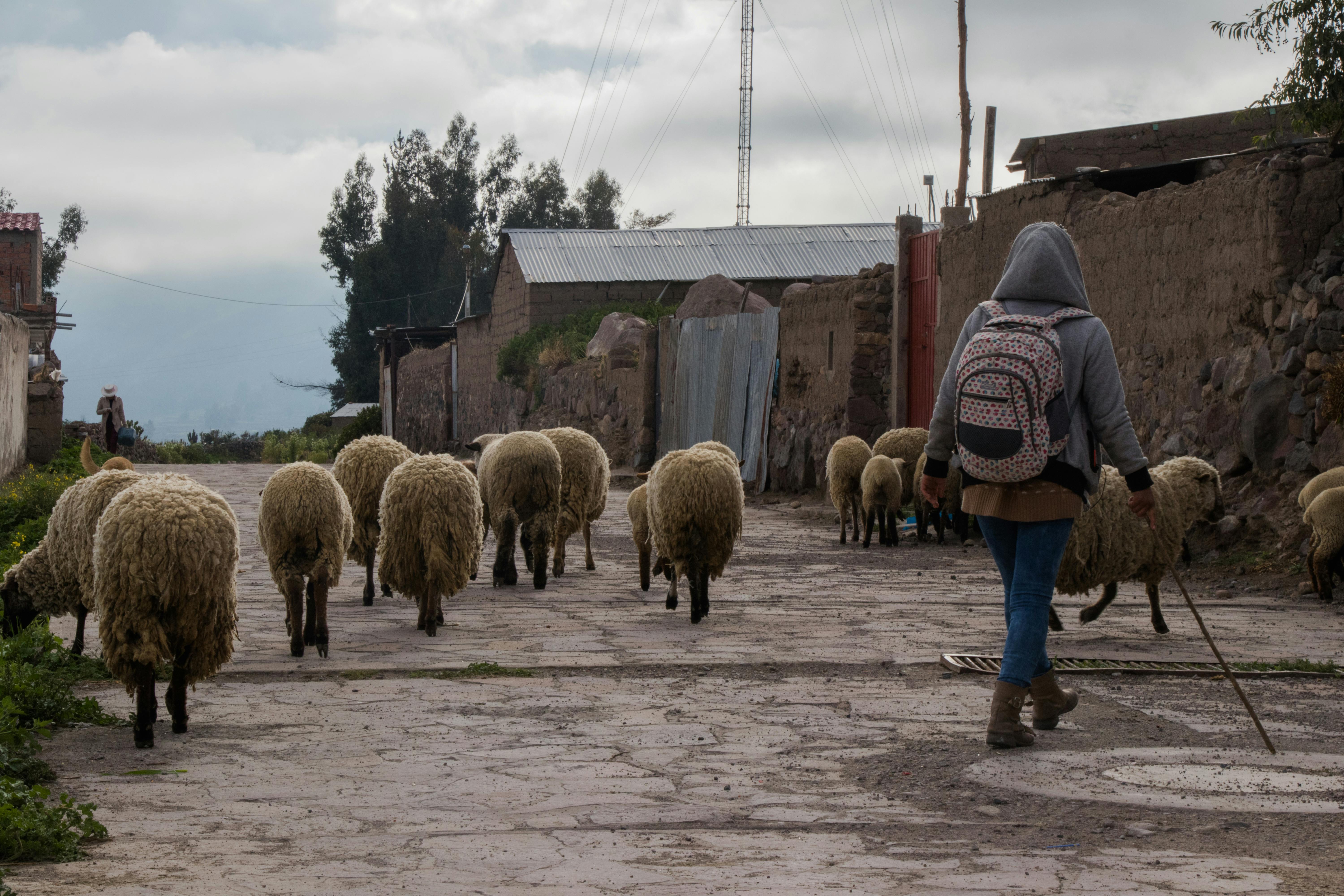 Small Village In Peru From A Self Cam Photos, Download The BEST Free ...