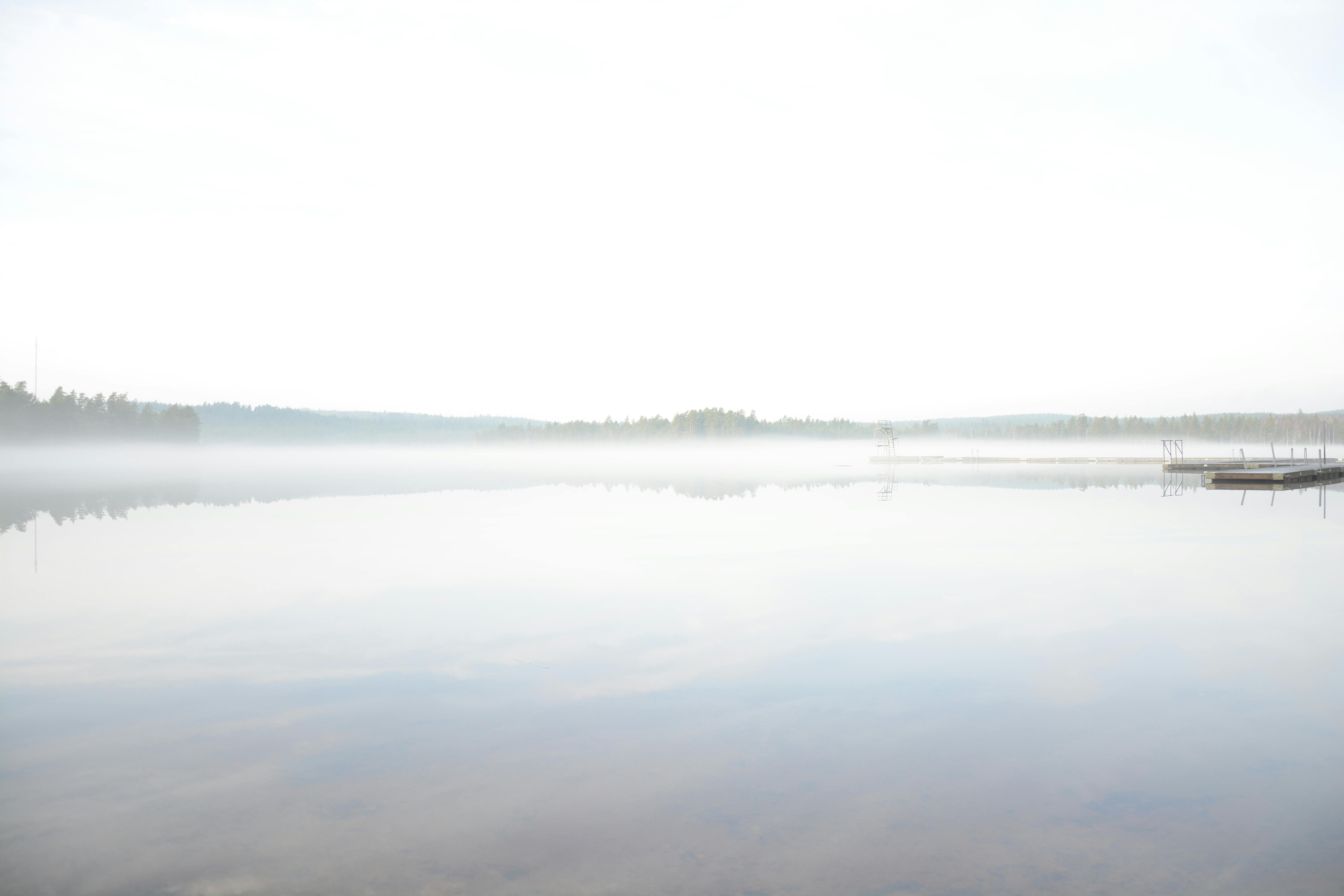 Fog Over a Lake · Free Stock Photo