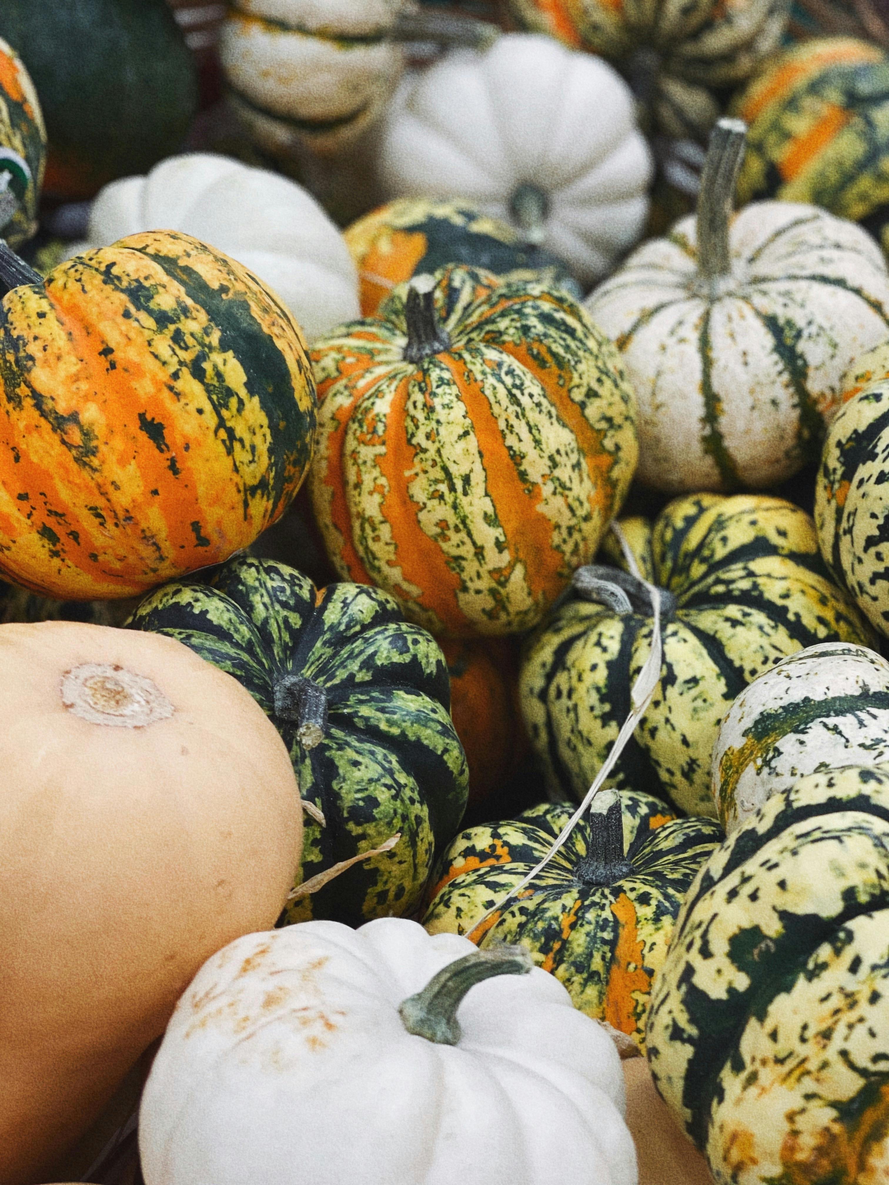 Close-Up Photo of Stacked Pumpkins · Free Stock Photo