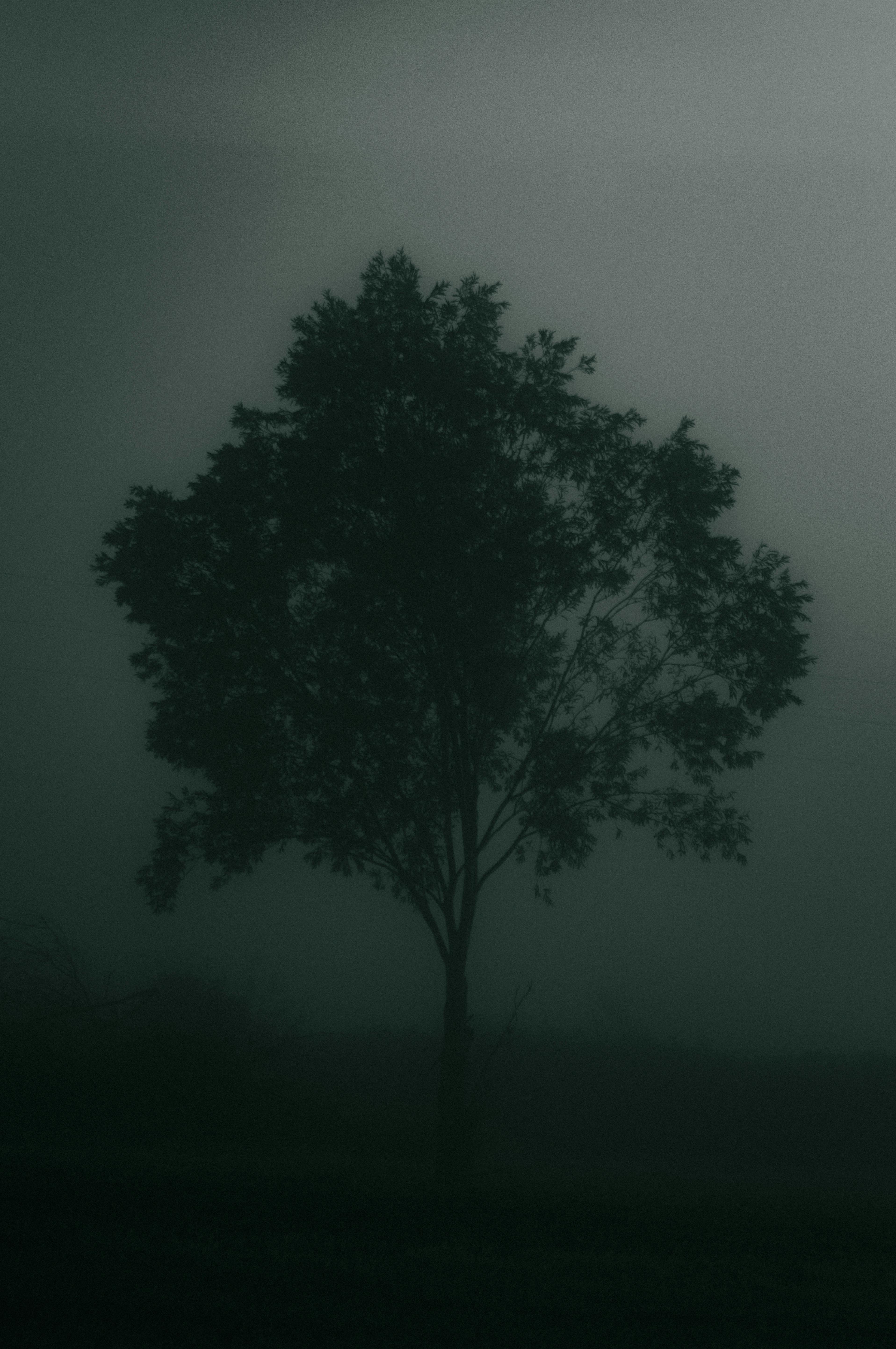 Night Mist Photos, Download The BEST Free Night Mist Stock Photos & HD ...