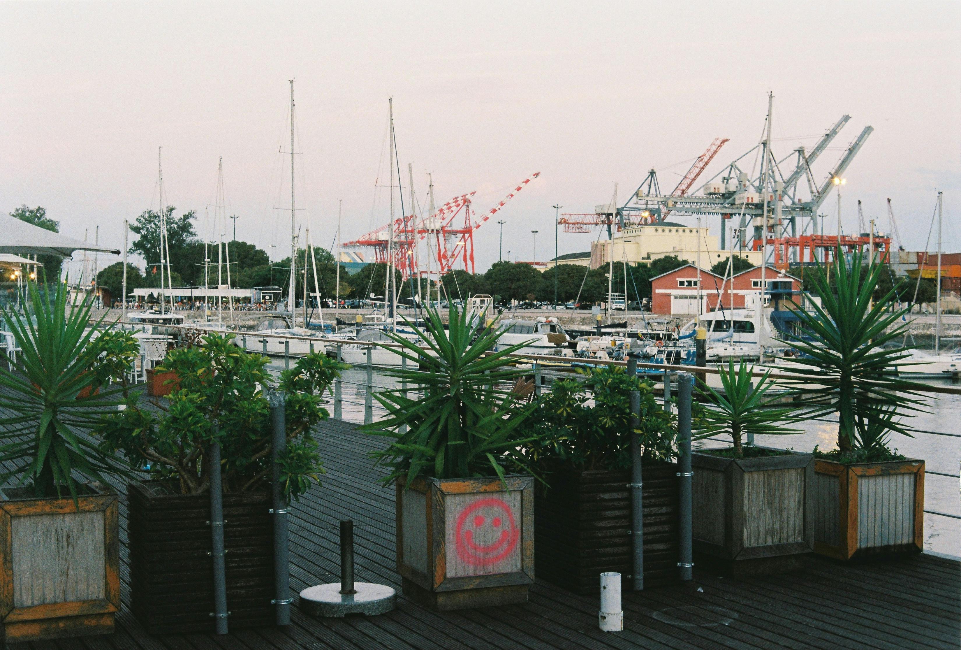 Pier Smiley Photos, Download The BEST Free Pier Smiley Stock Photos ...