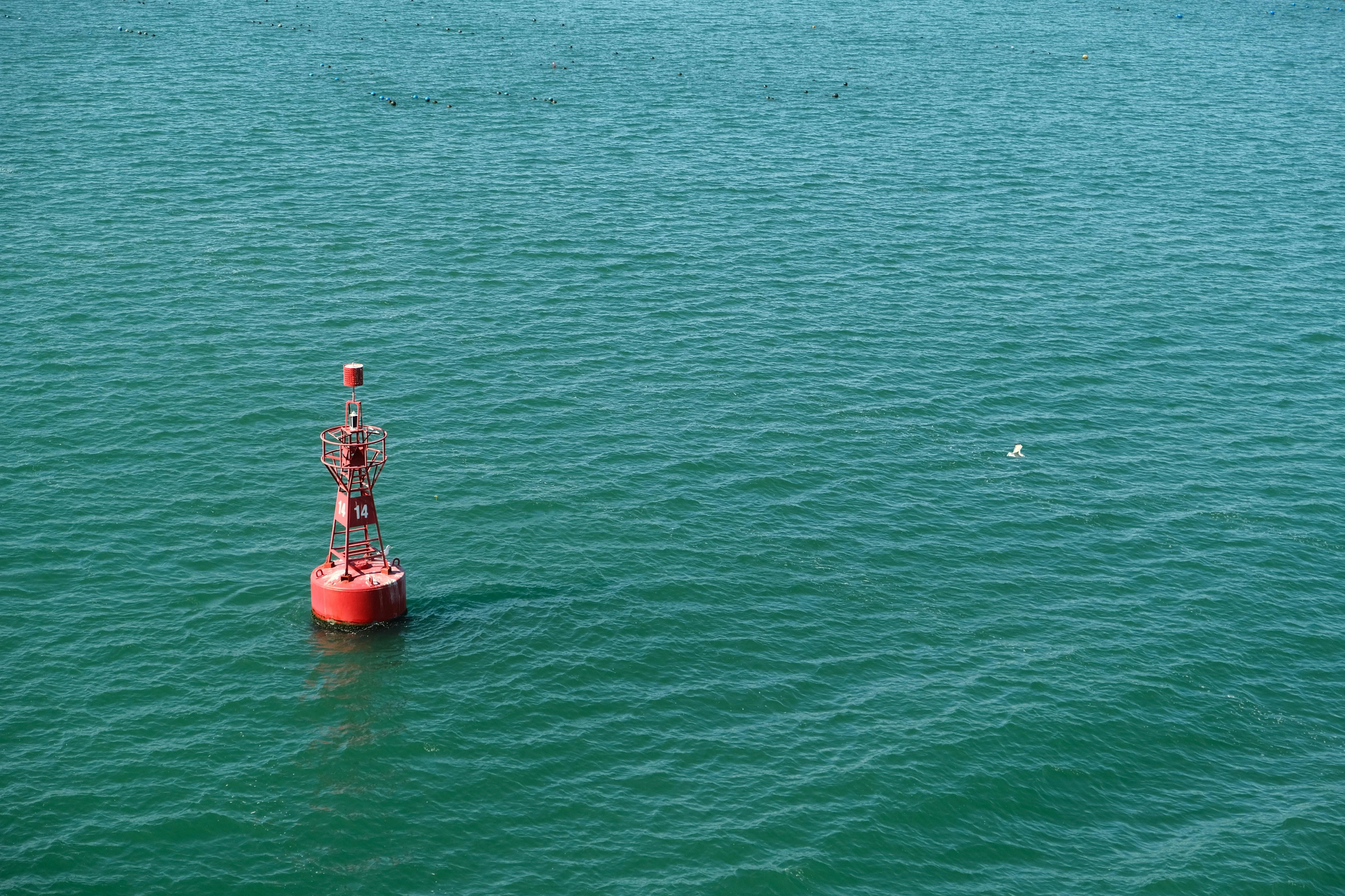 Photo of Buoy on Body of Water · Free Stock Photo