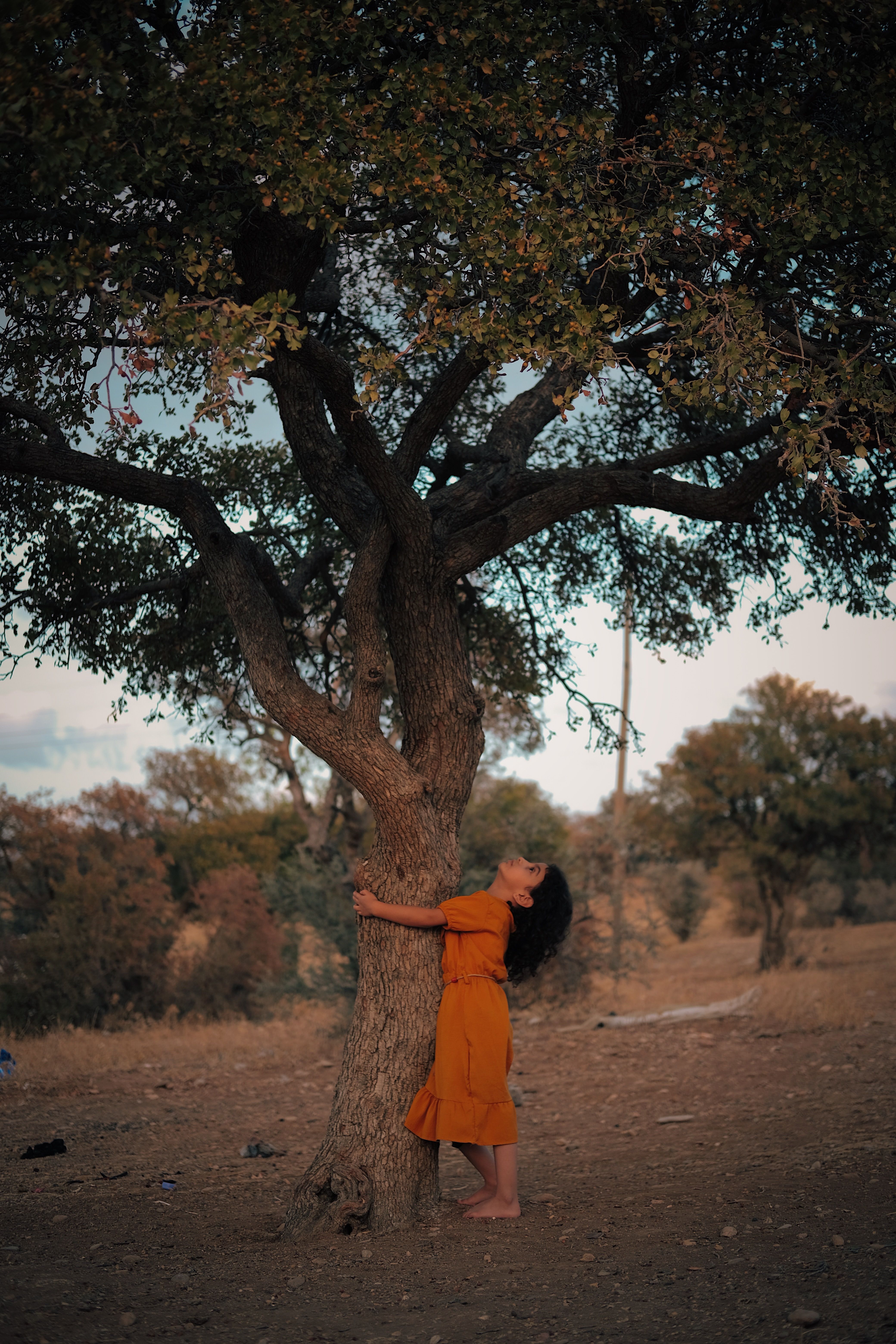A Girl Standing Under the Tree · Free Stock Photo