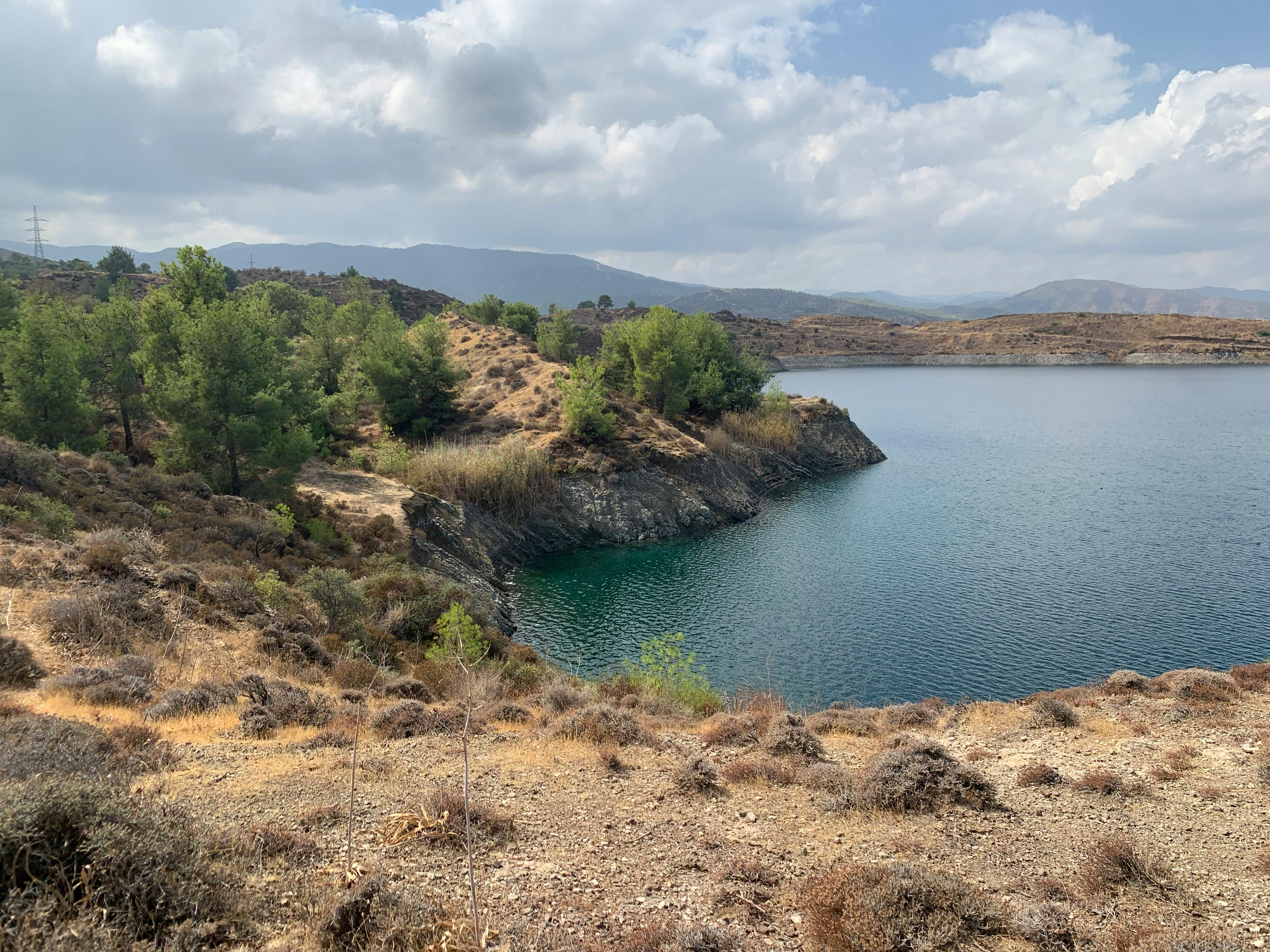 Placid Water Surface of a Lake · Free Stock Photo