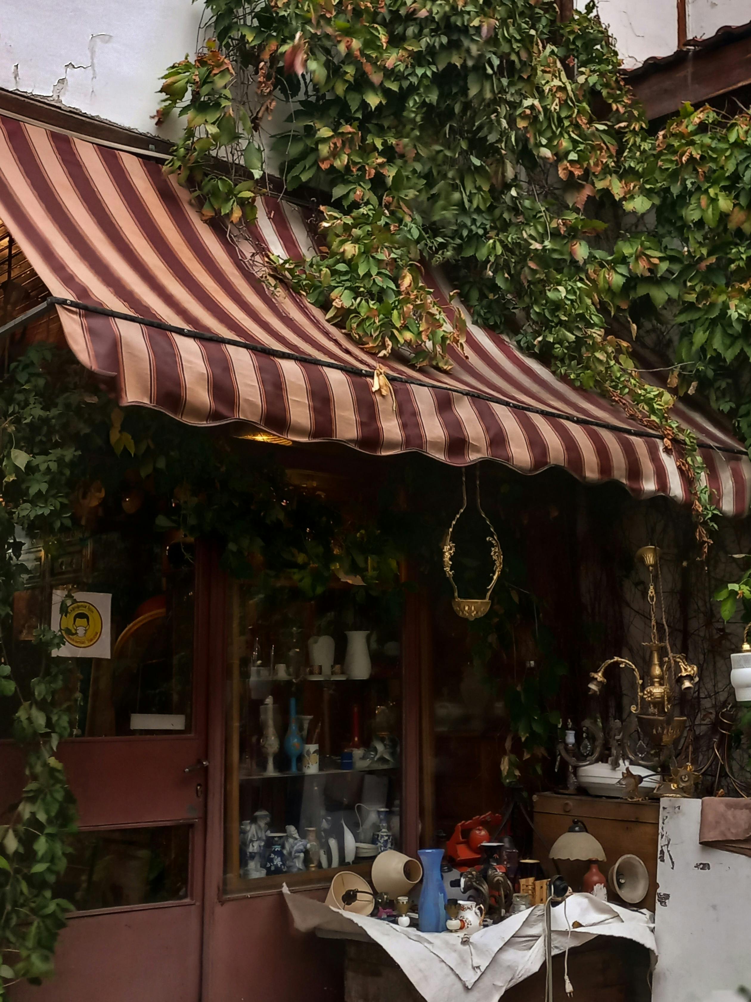 Exterior of a Antique Shop · Free Stock Photo