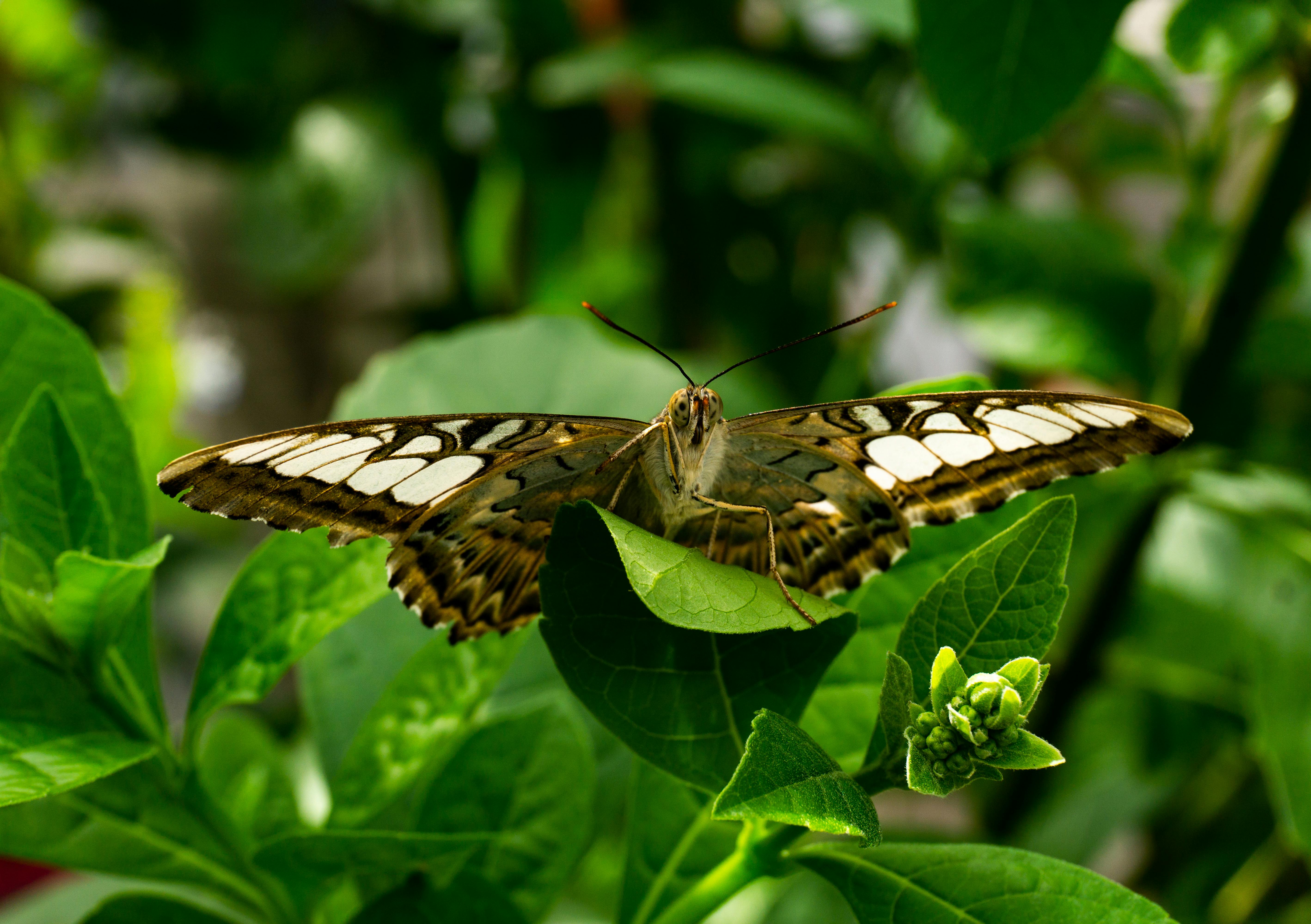 Joseph Kessler - Fotografía