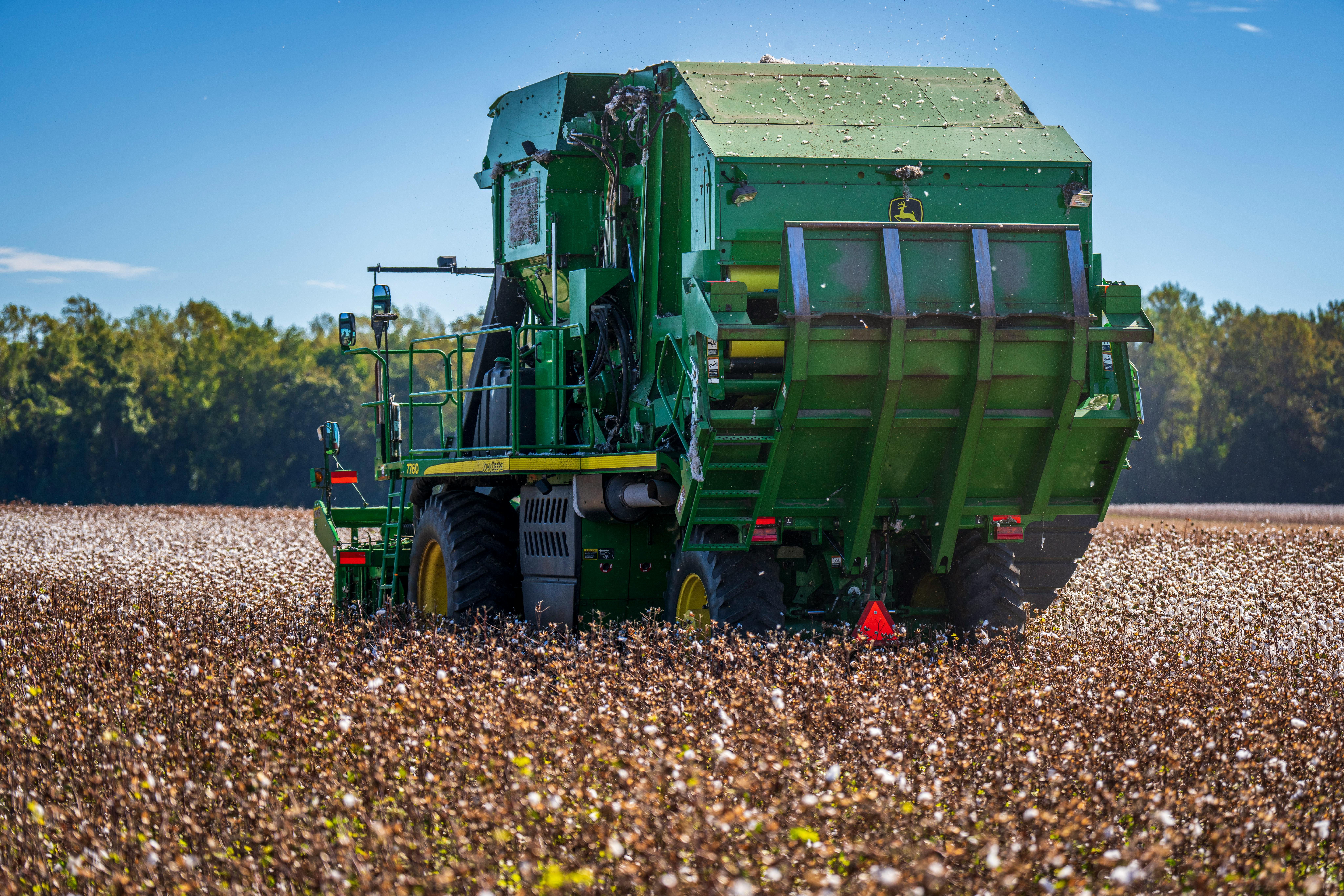 Harvester Truck on Flower Field · Free Stock Photo