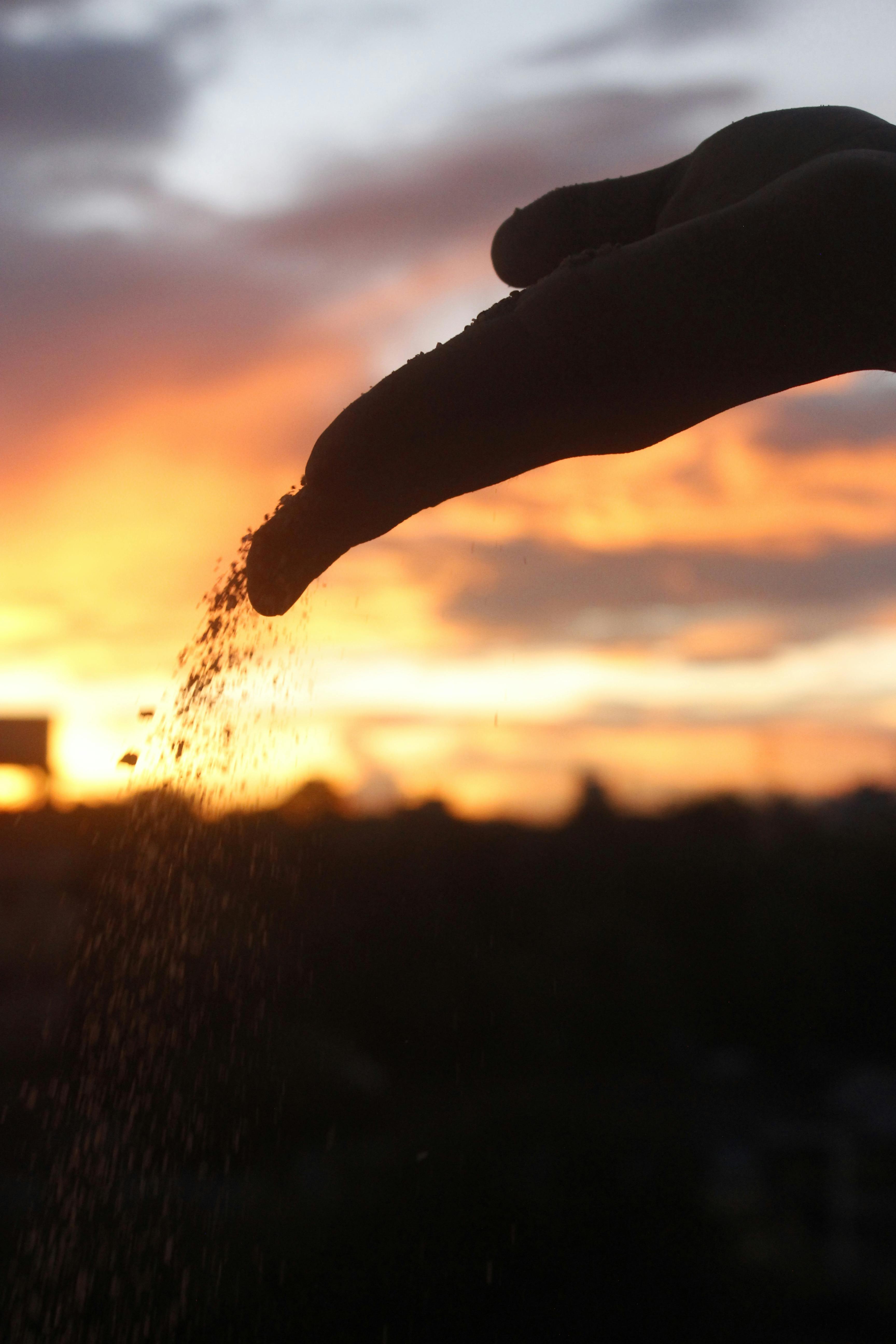 Samiul Alam Siyam - Photography