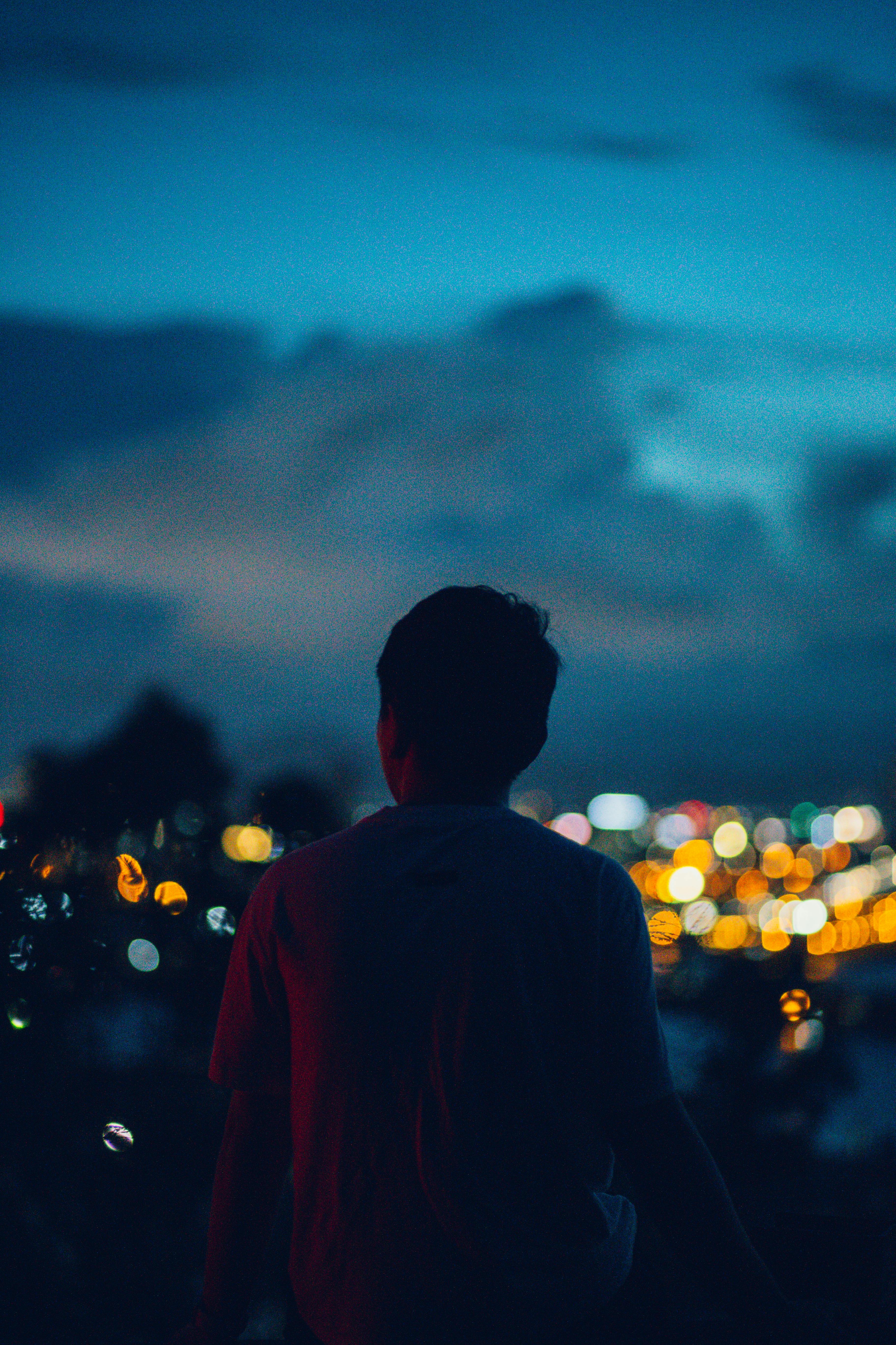 Back View of Standing Person in Evening · Free Stock Photo