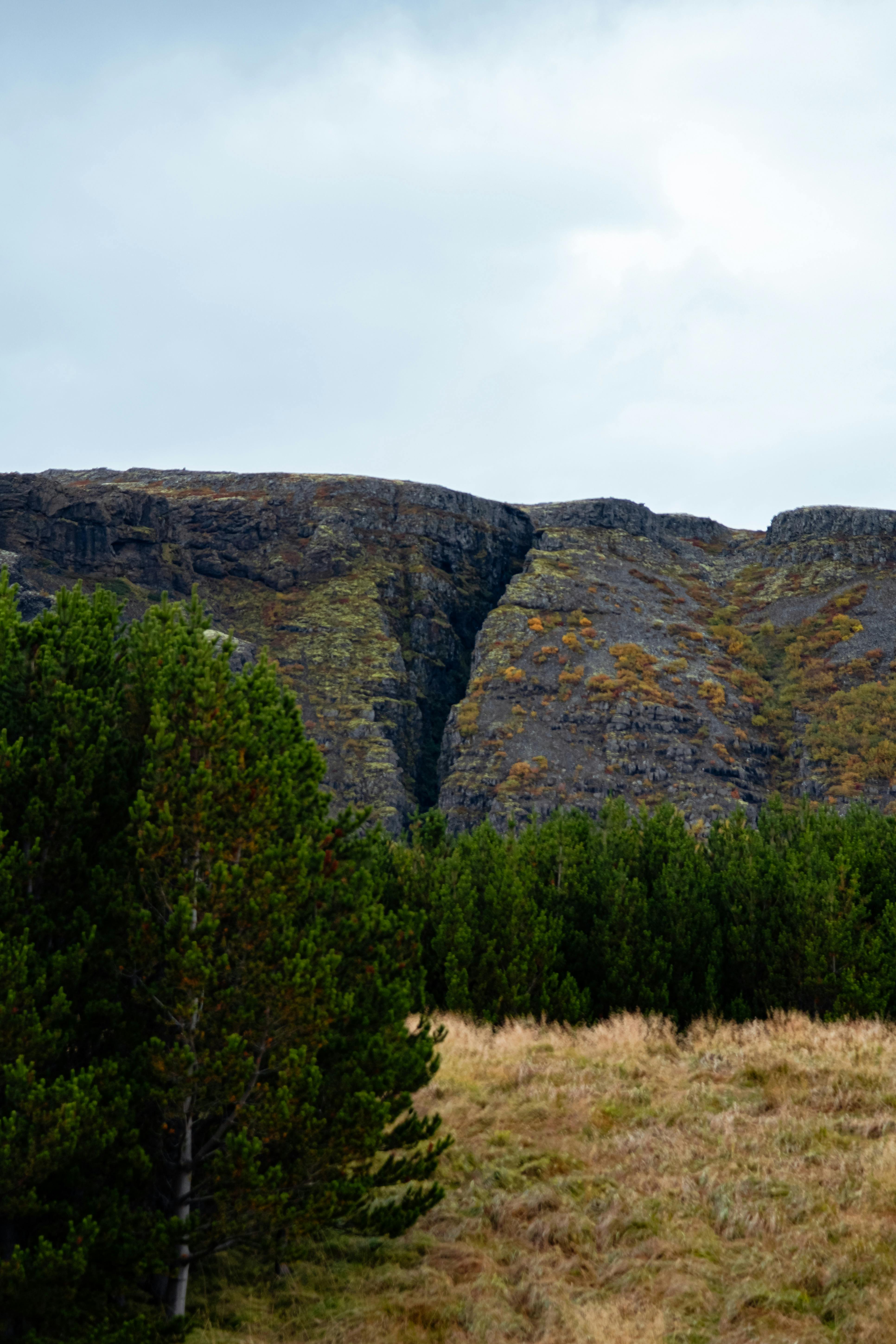 Gray Cliff Beside Green Trees Under White Clouds · Free Stock Photo