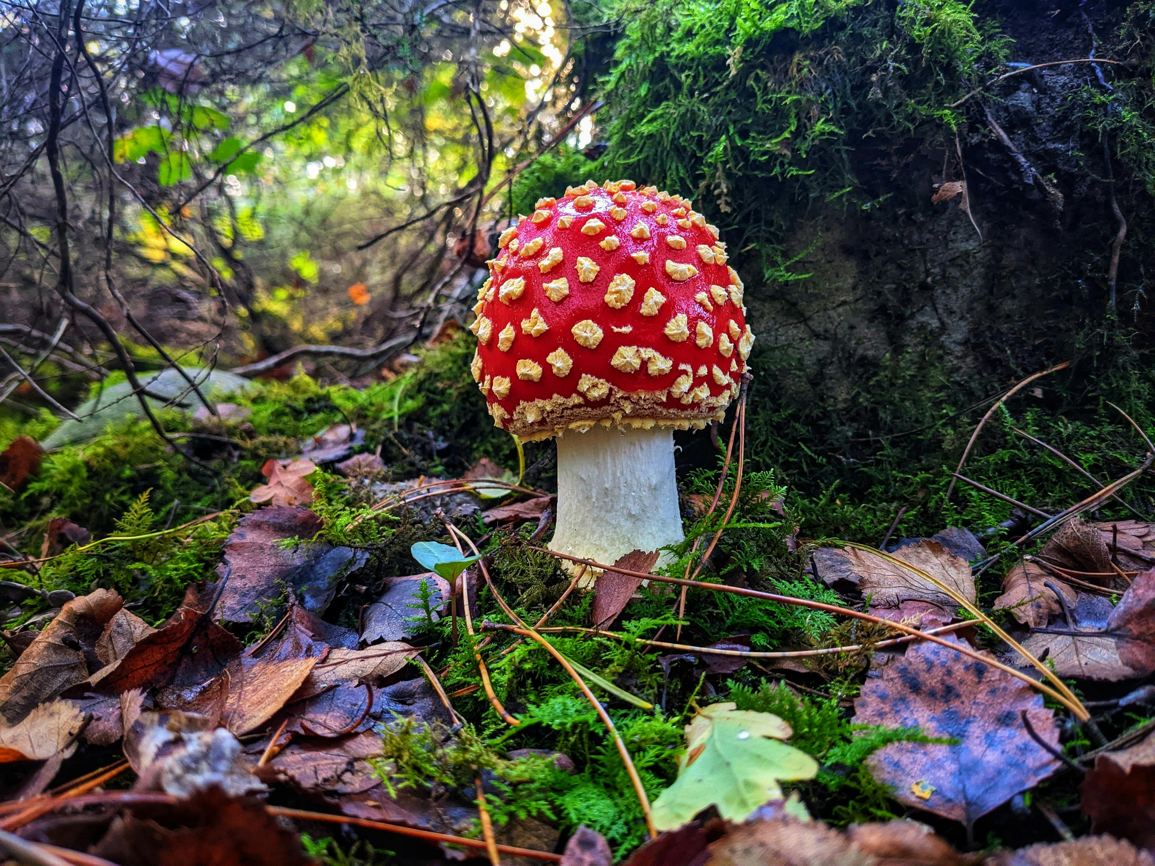 Anthony Beck - Fotografía