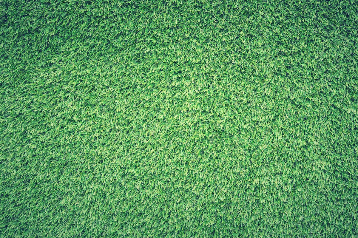 Green Texture Photos, Download The BEST Free Green Texture Stock Photos ...