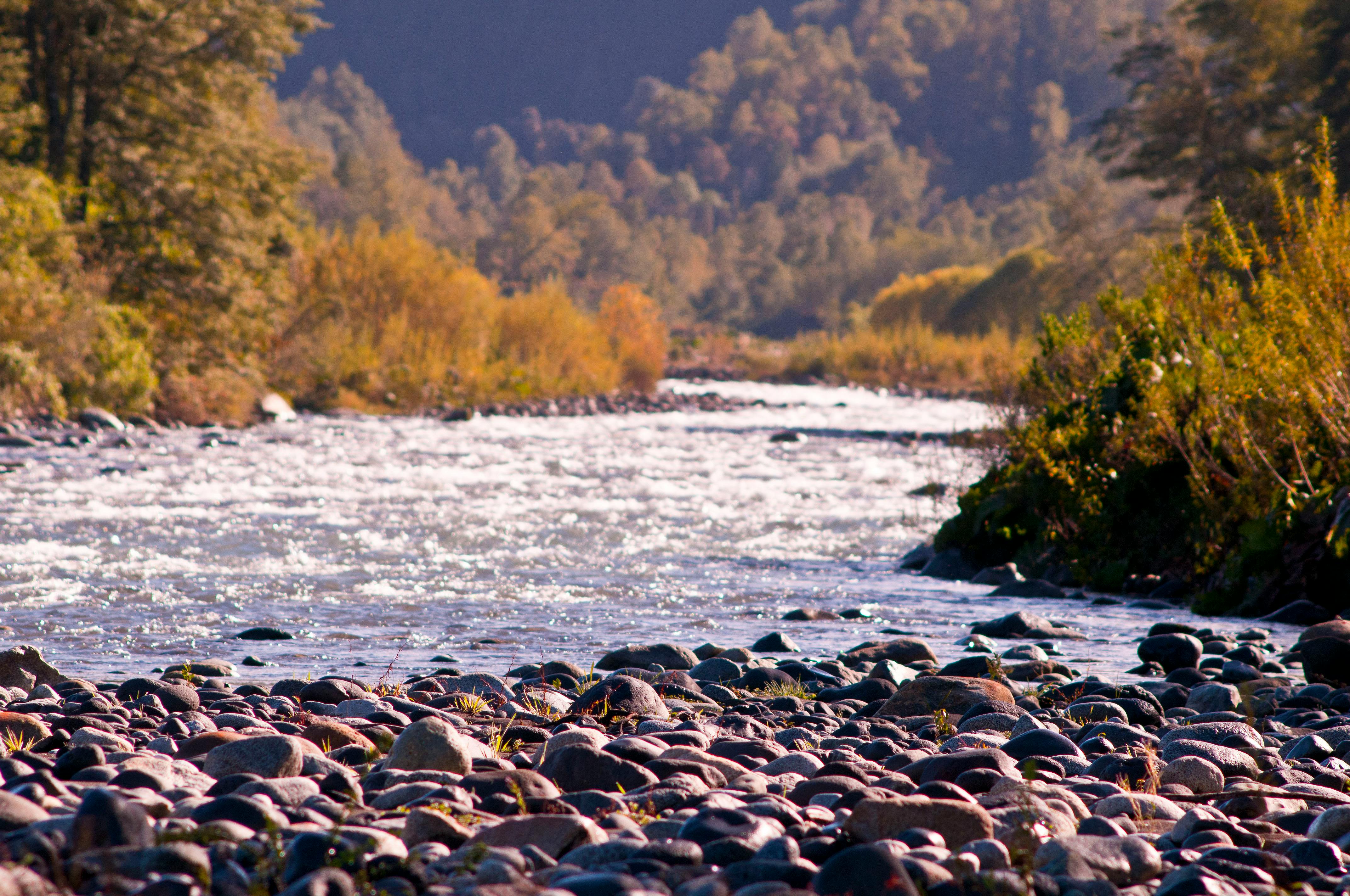 Stones on the River · Free Stock Photo