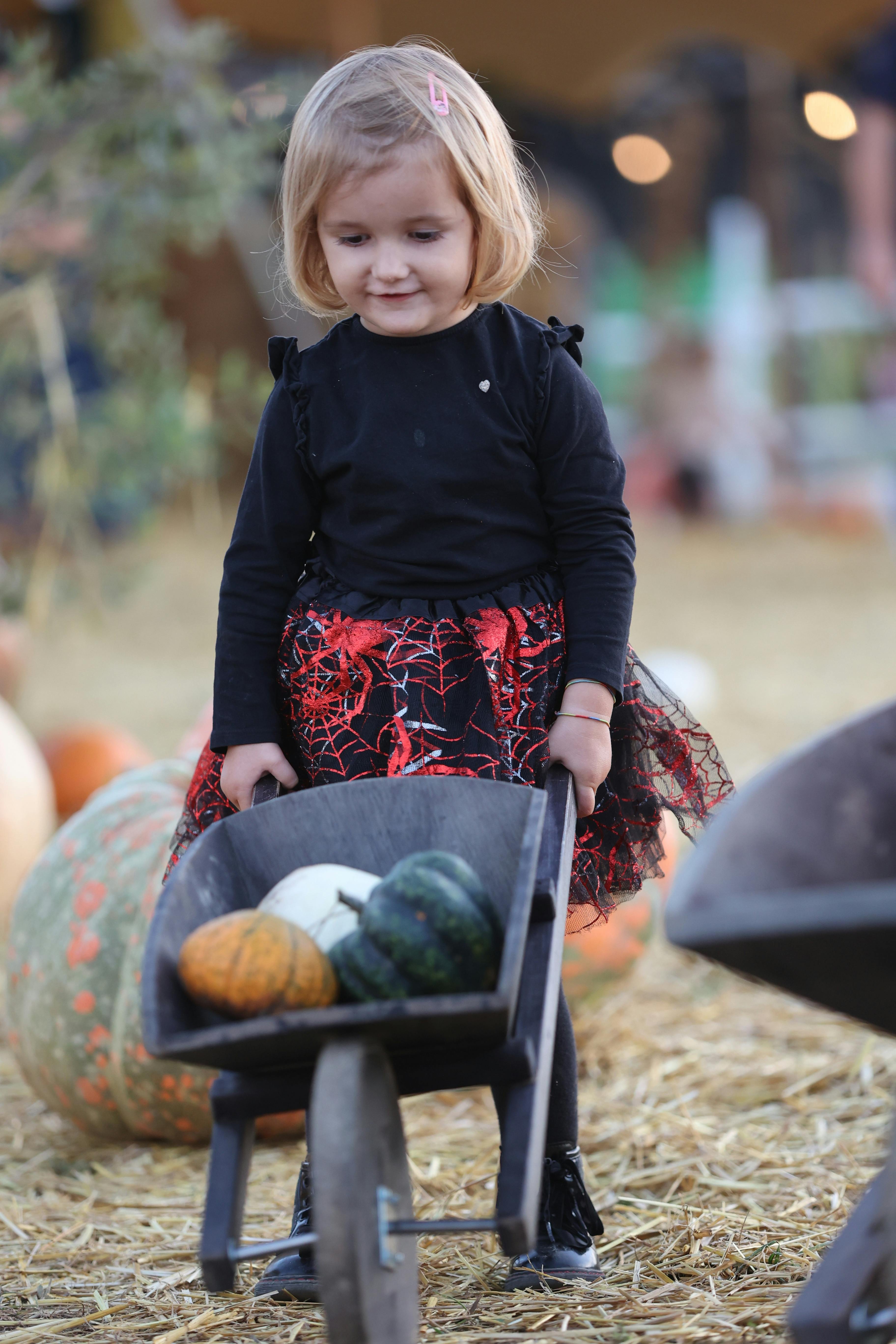 Girl in Gray Long Sleeves Dress Standing and Holding a Wheelbarrow Toy ...
