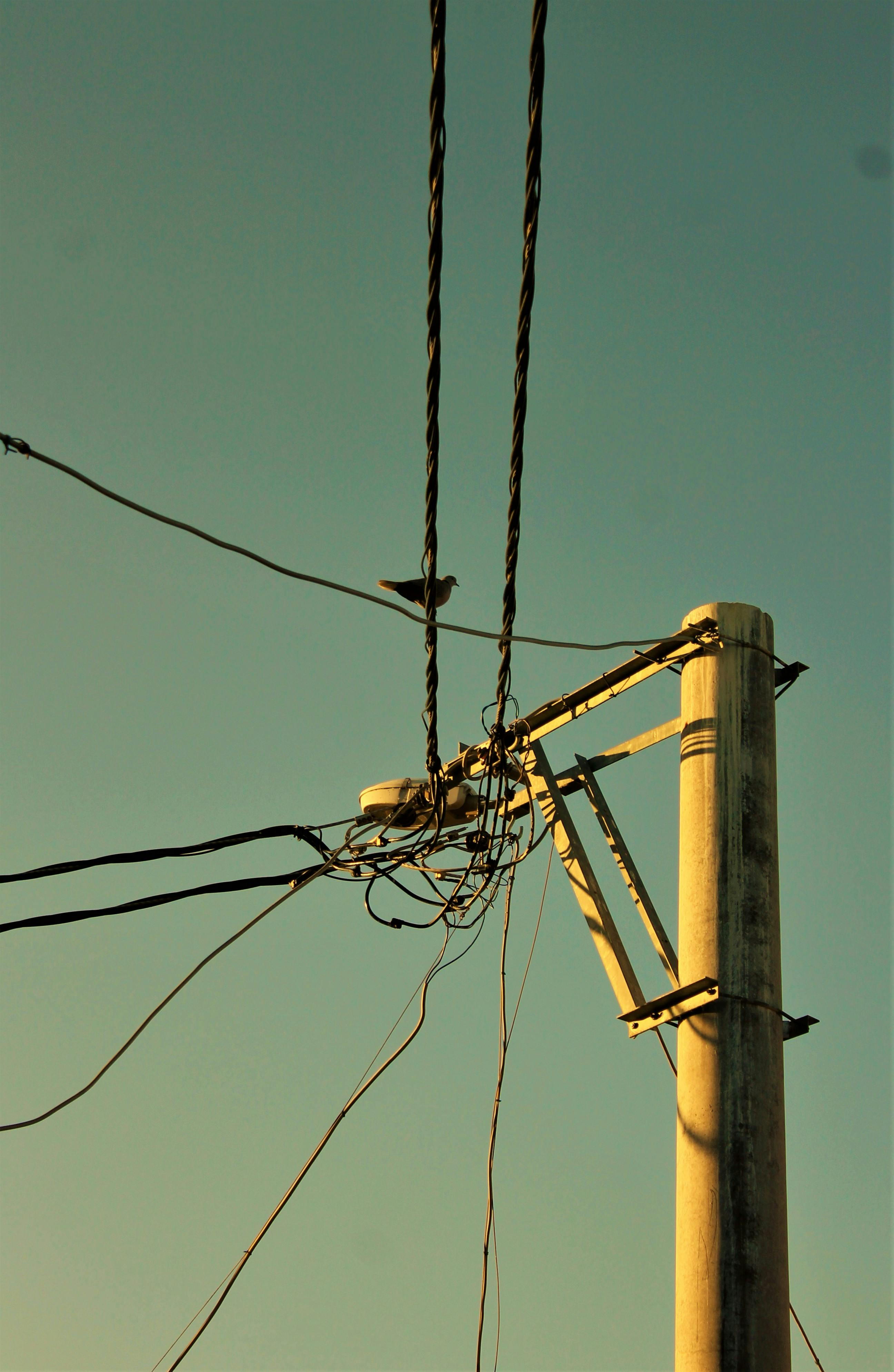 Electric Posts · Free Stock Photo