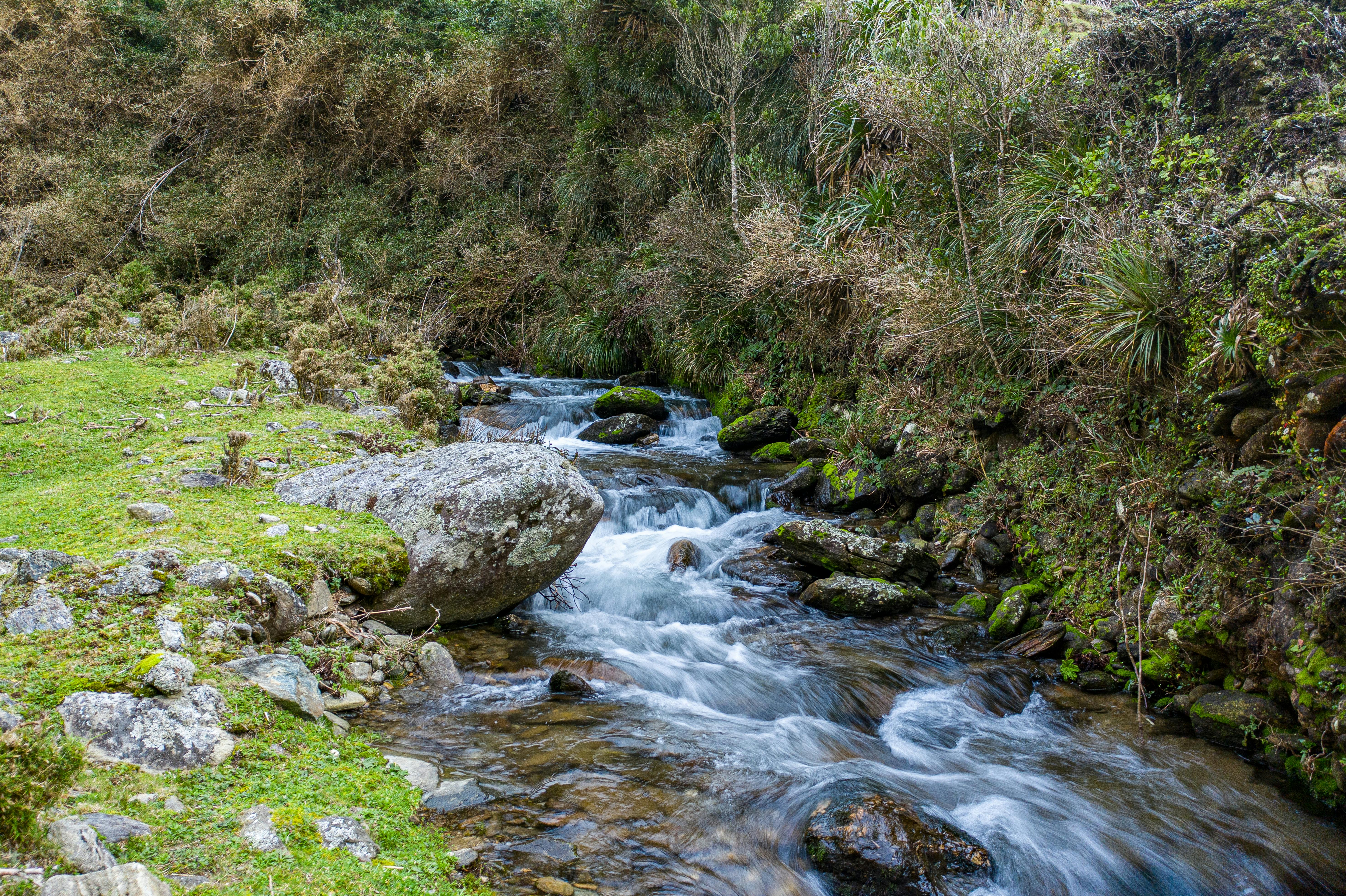 Photo of a River Flowing · Free Stock Photo