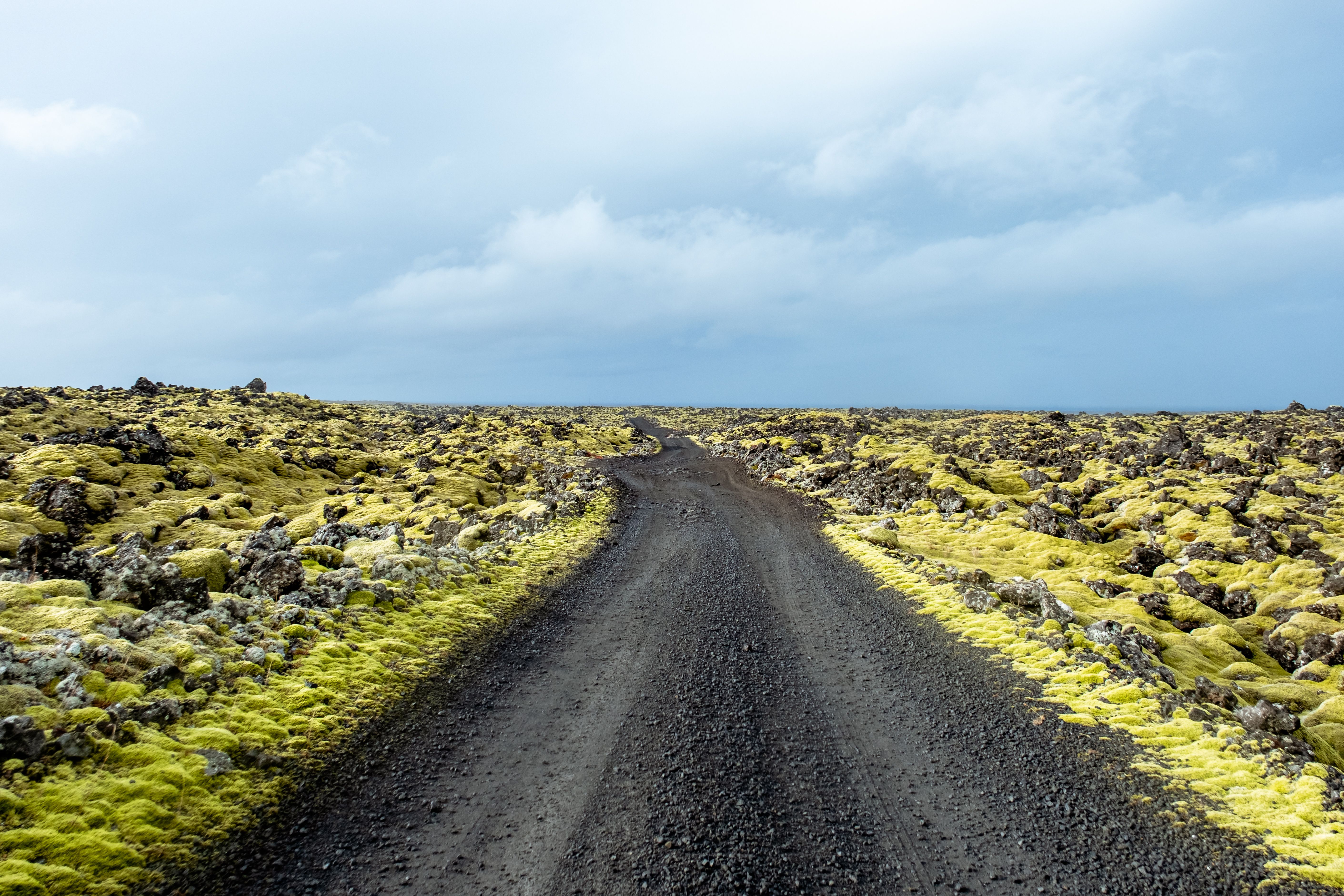 Black Dirt Road Between a Field of Volcanic Ash with Moss · Free Stock ...