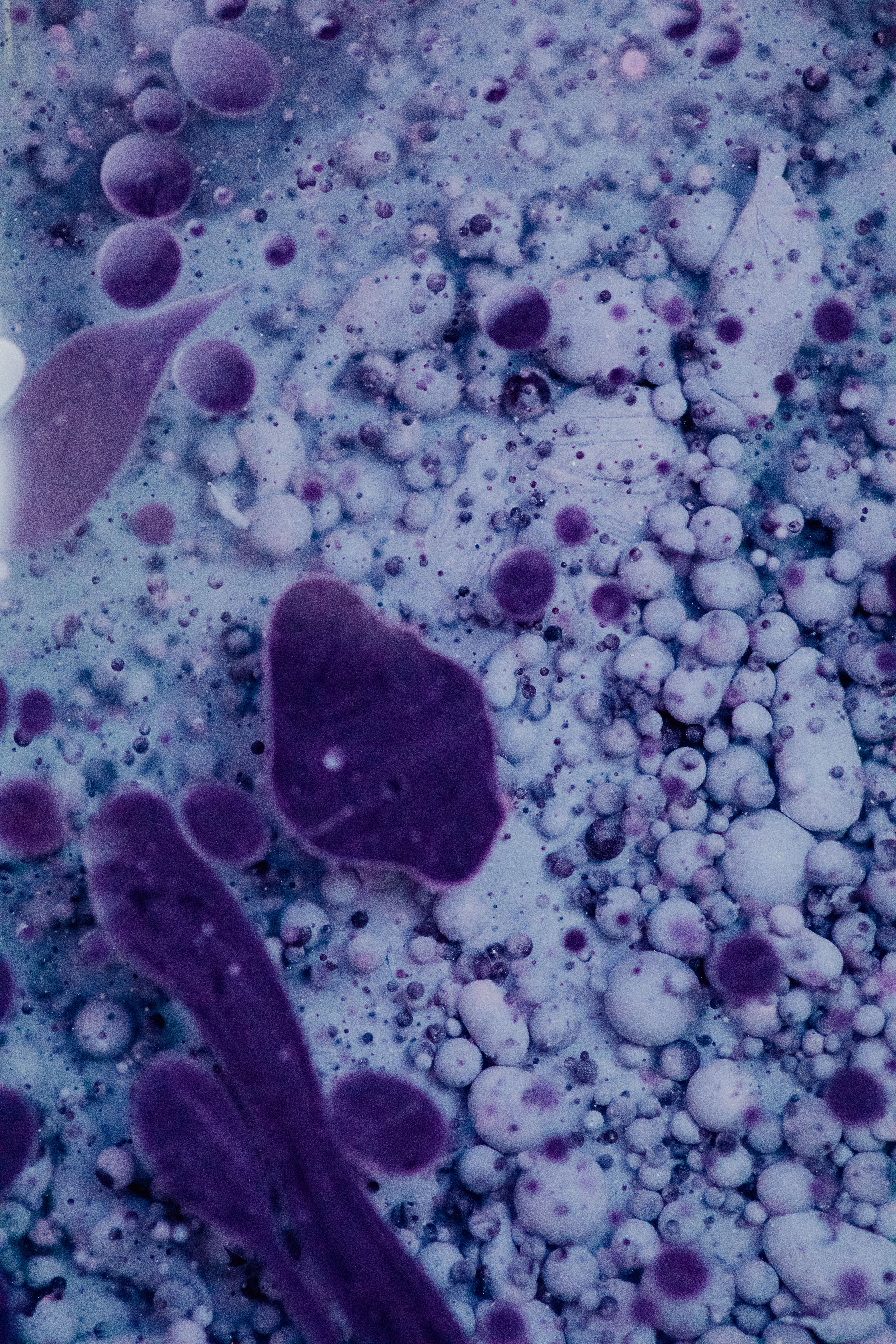 Bubbles in Extreme Close-up · Free Stock Photo