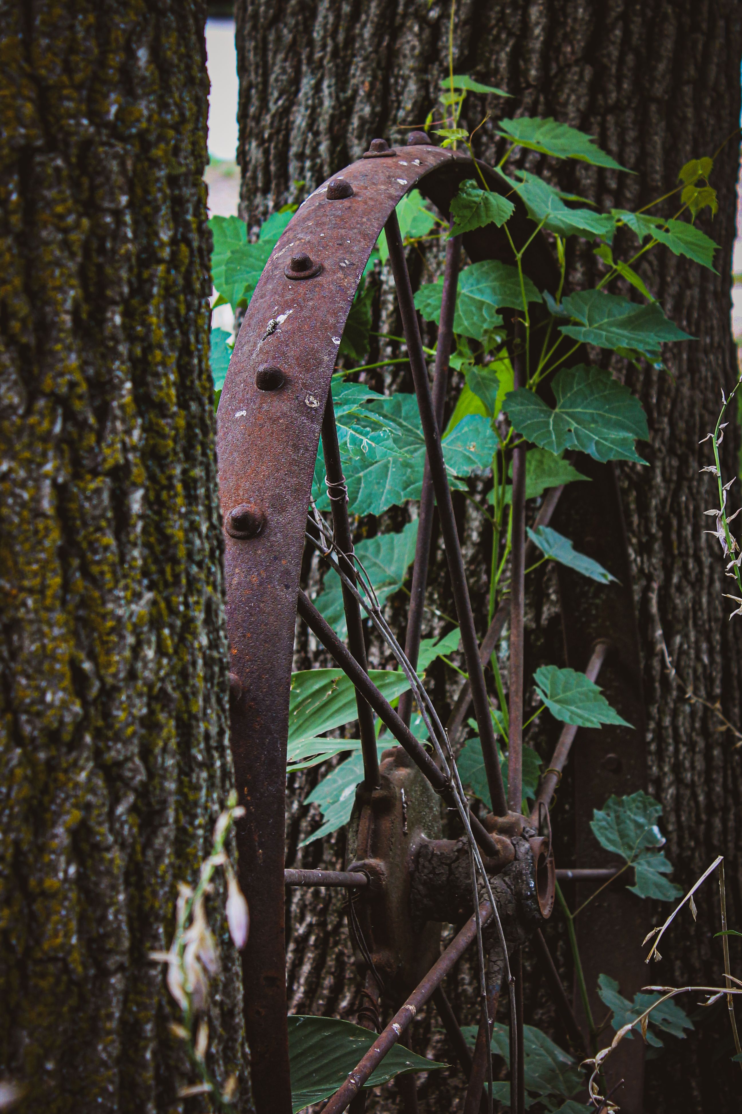 Lyndsay H - Photography