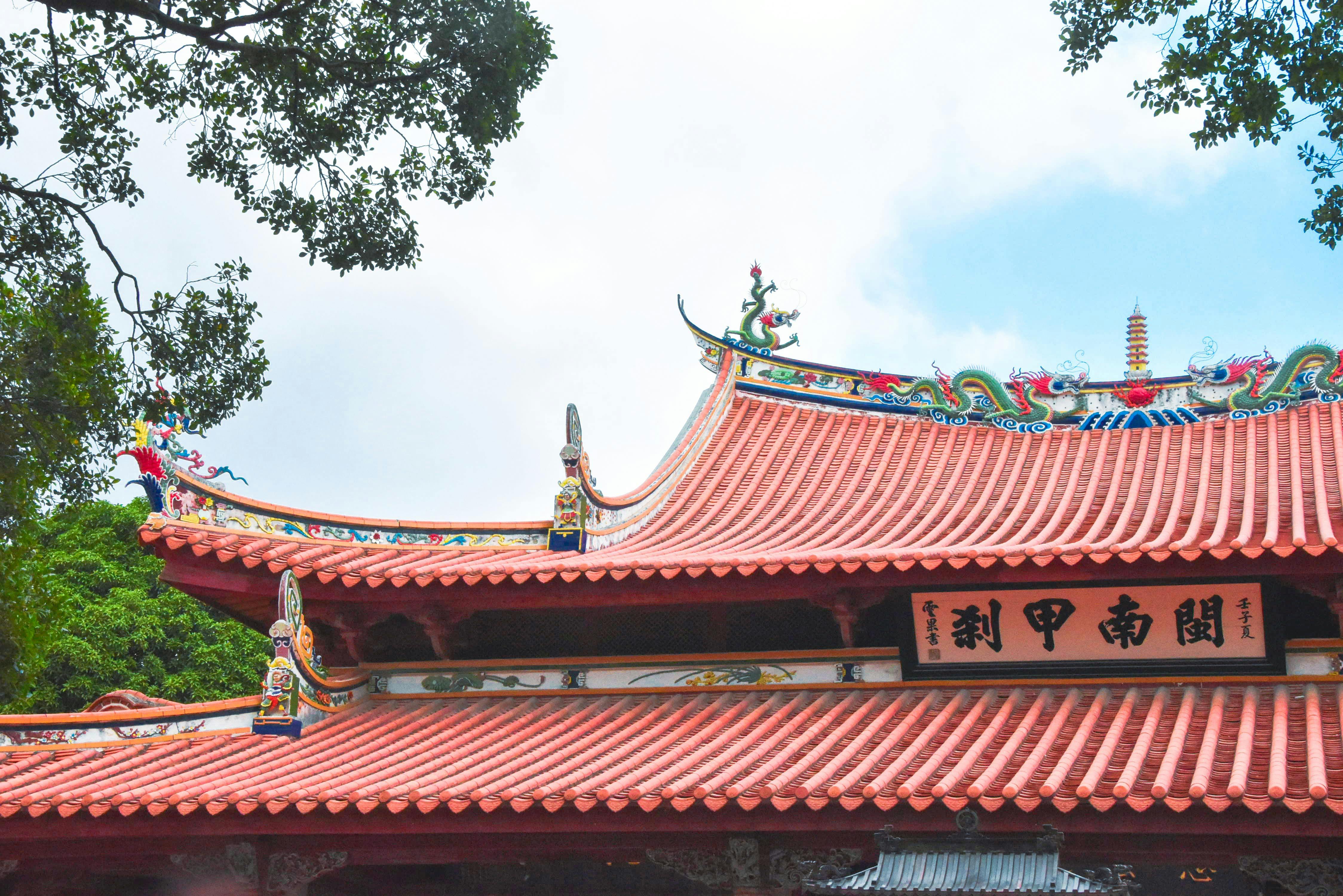 duidui Chu - Photography