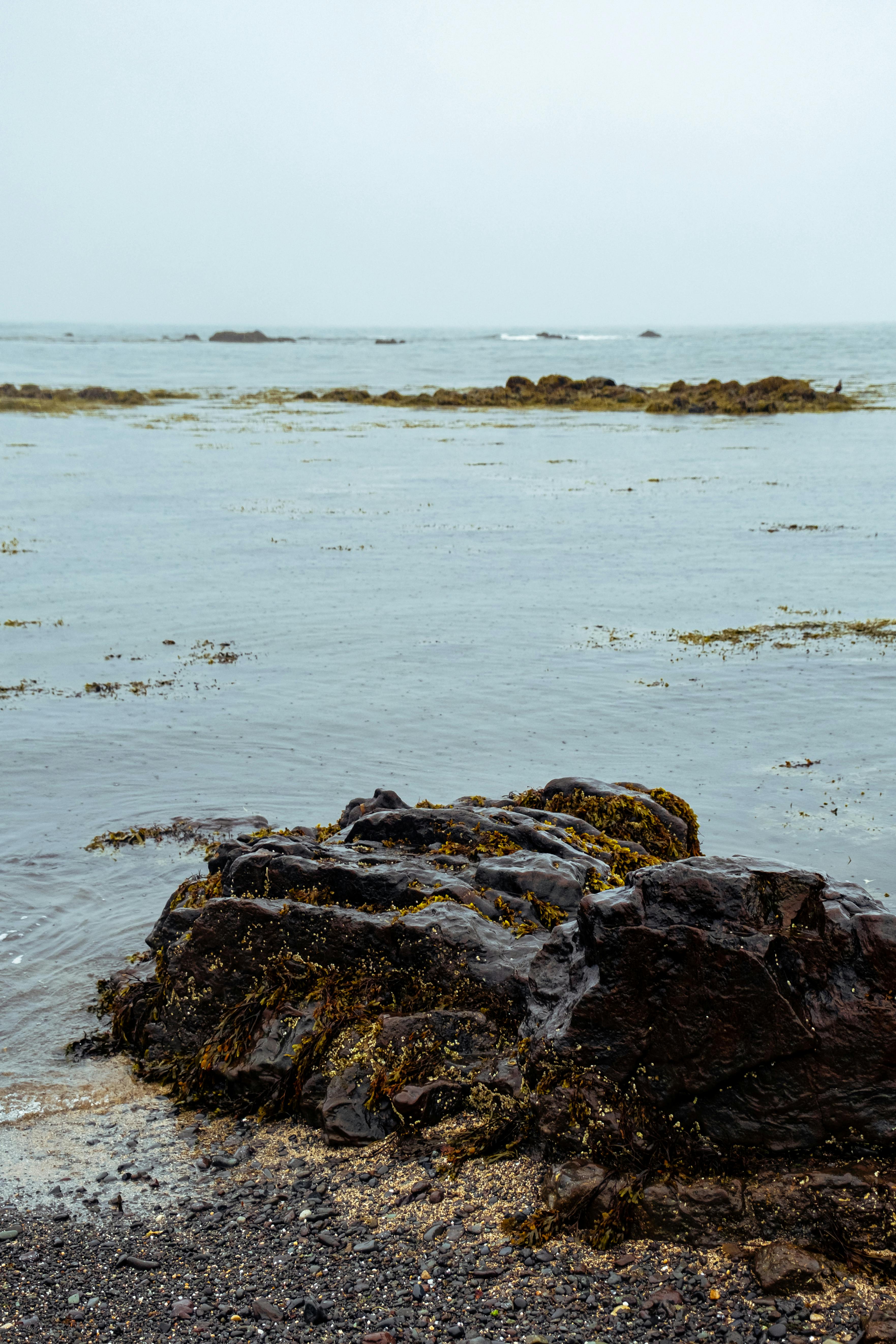 Brown Rock Formation on Sea · Free Stock Photo