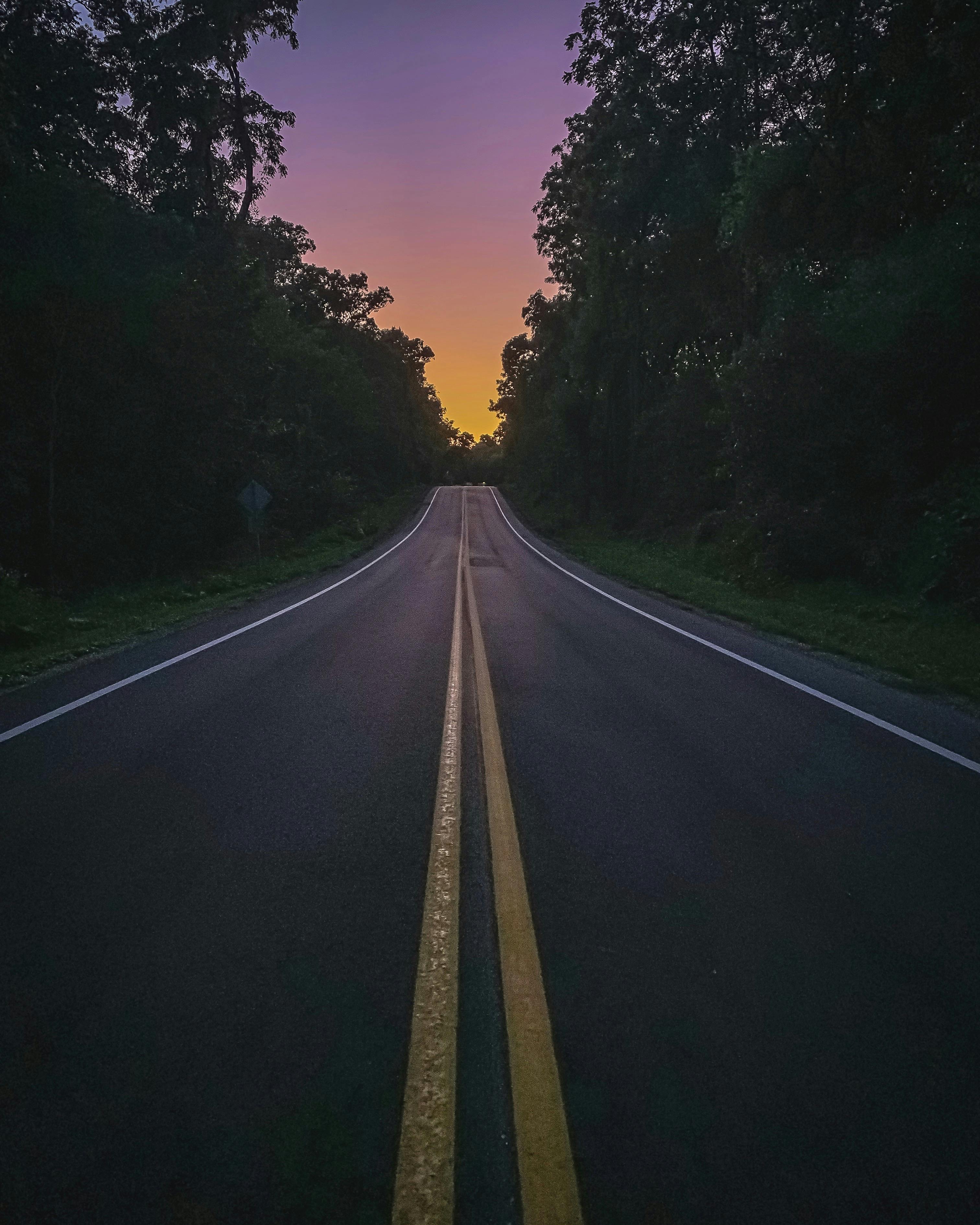 wired_optics - Photography