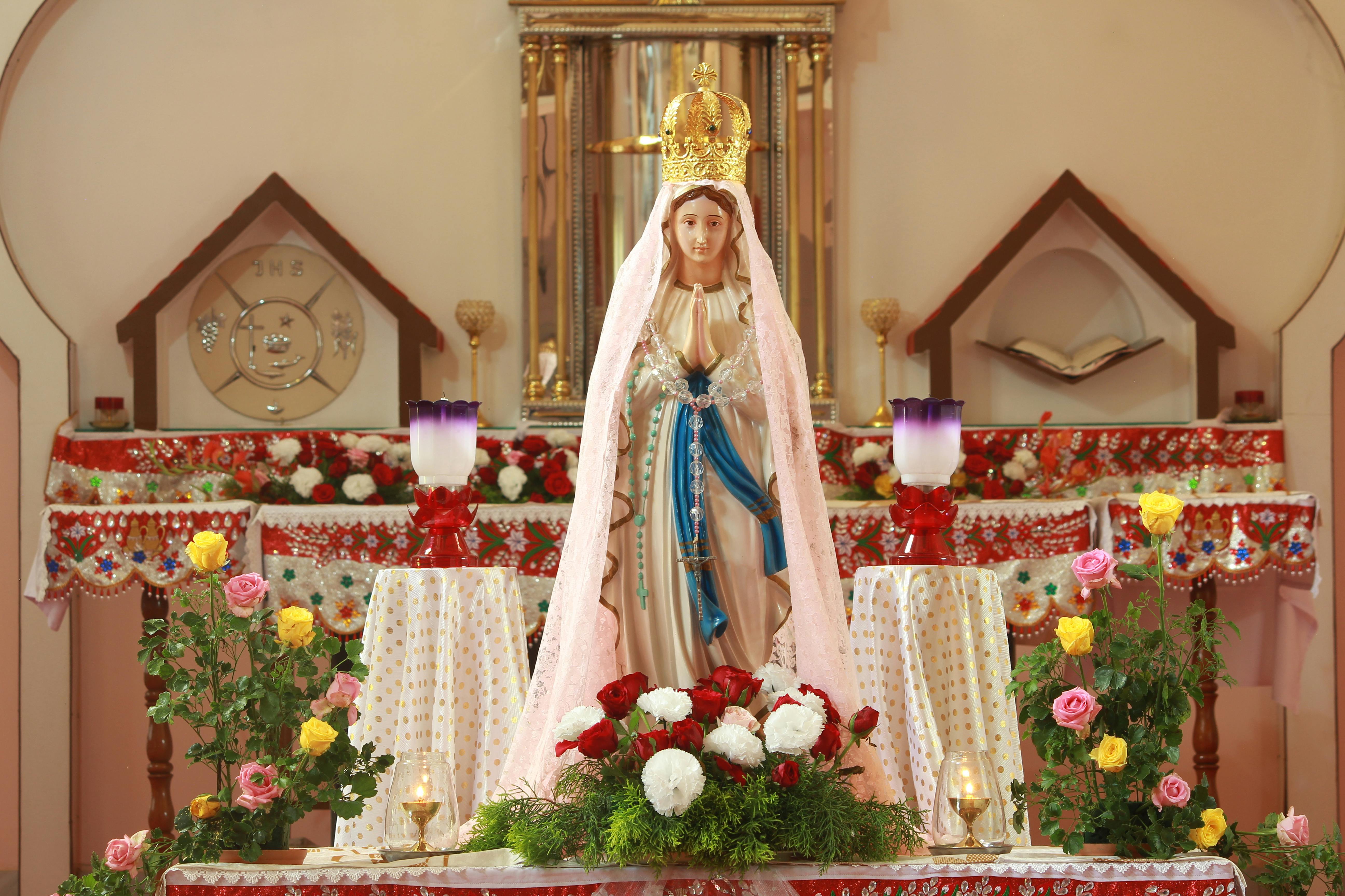 Virgin Mary Roses Photos, Download The BEST Free Virgin Mary Roses ...
