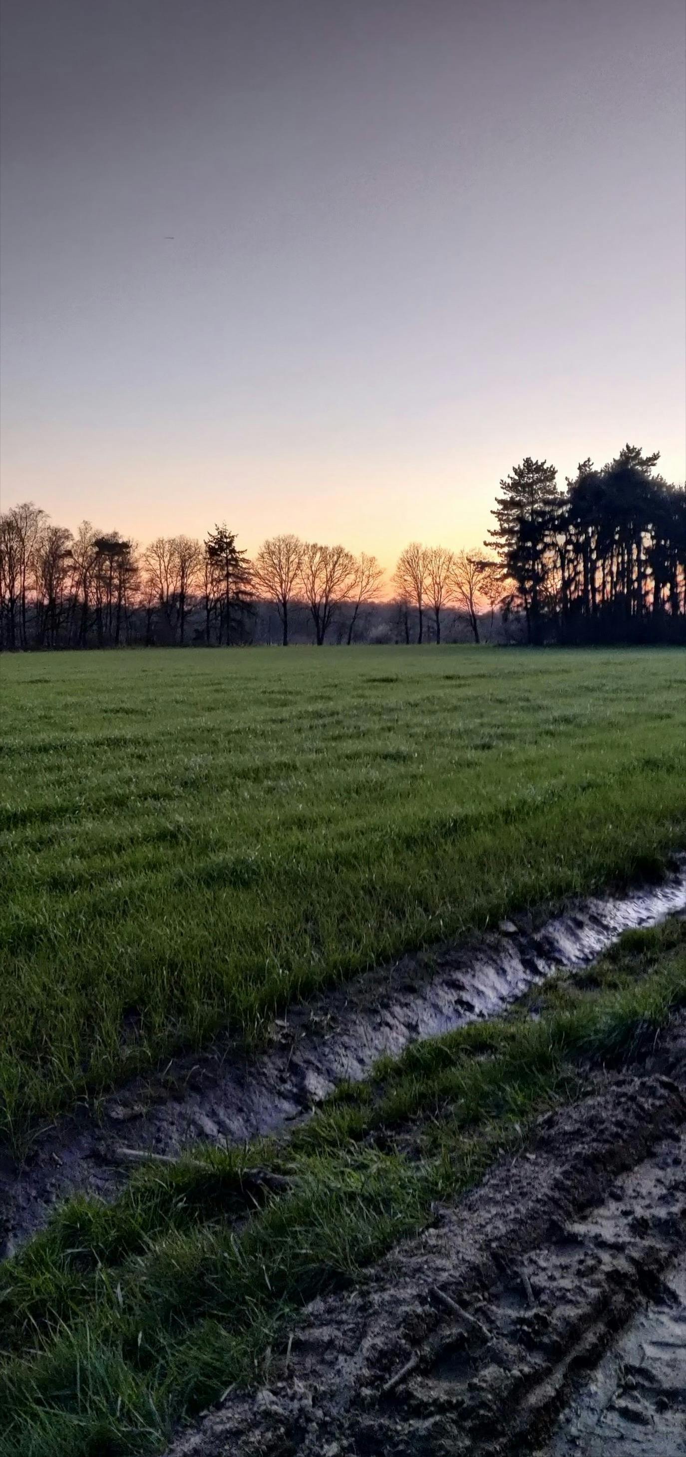 Foto's 3 Photos & Videos Collected by Robbe De Busser