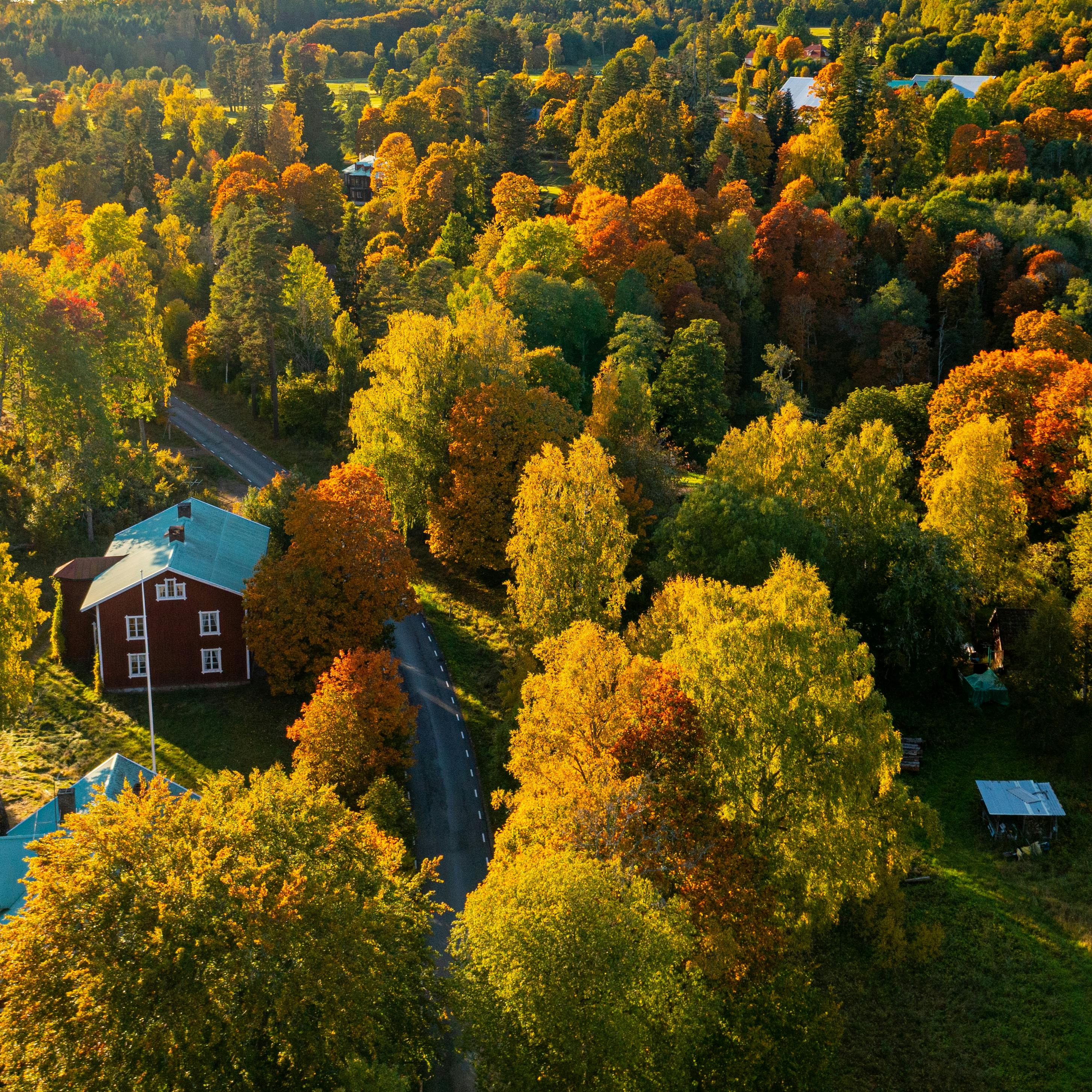 Fredrik Gustafsson - 写真