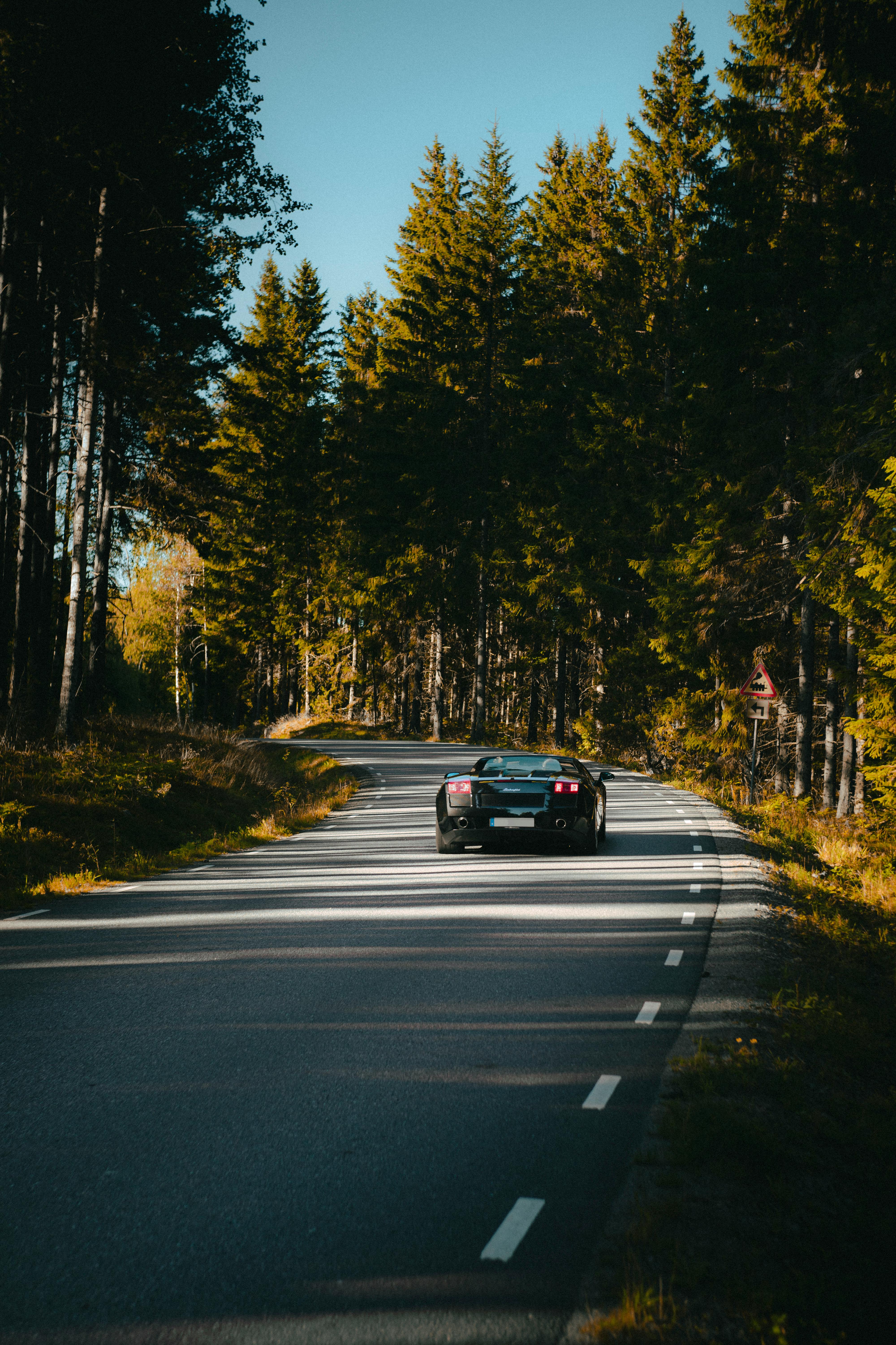 A Black Luxury Car on the Road Between Green Trees · Free Stock Photo