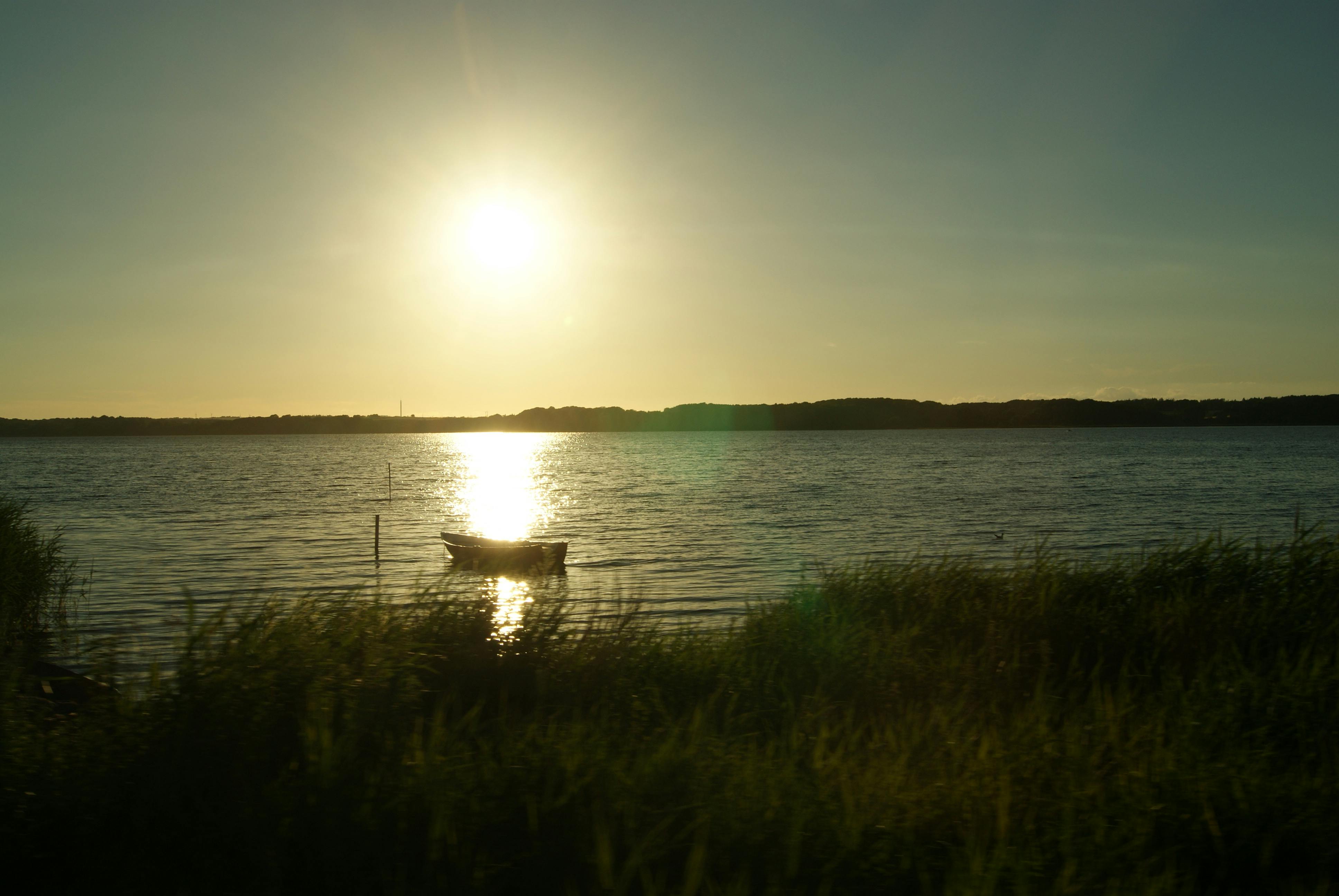 Free stock photo of boat, denmark, sun