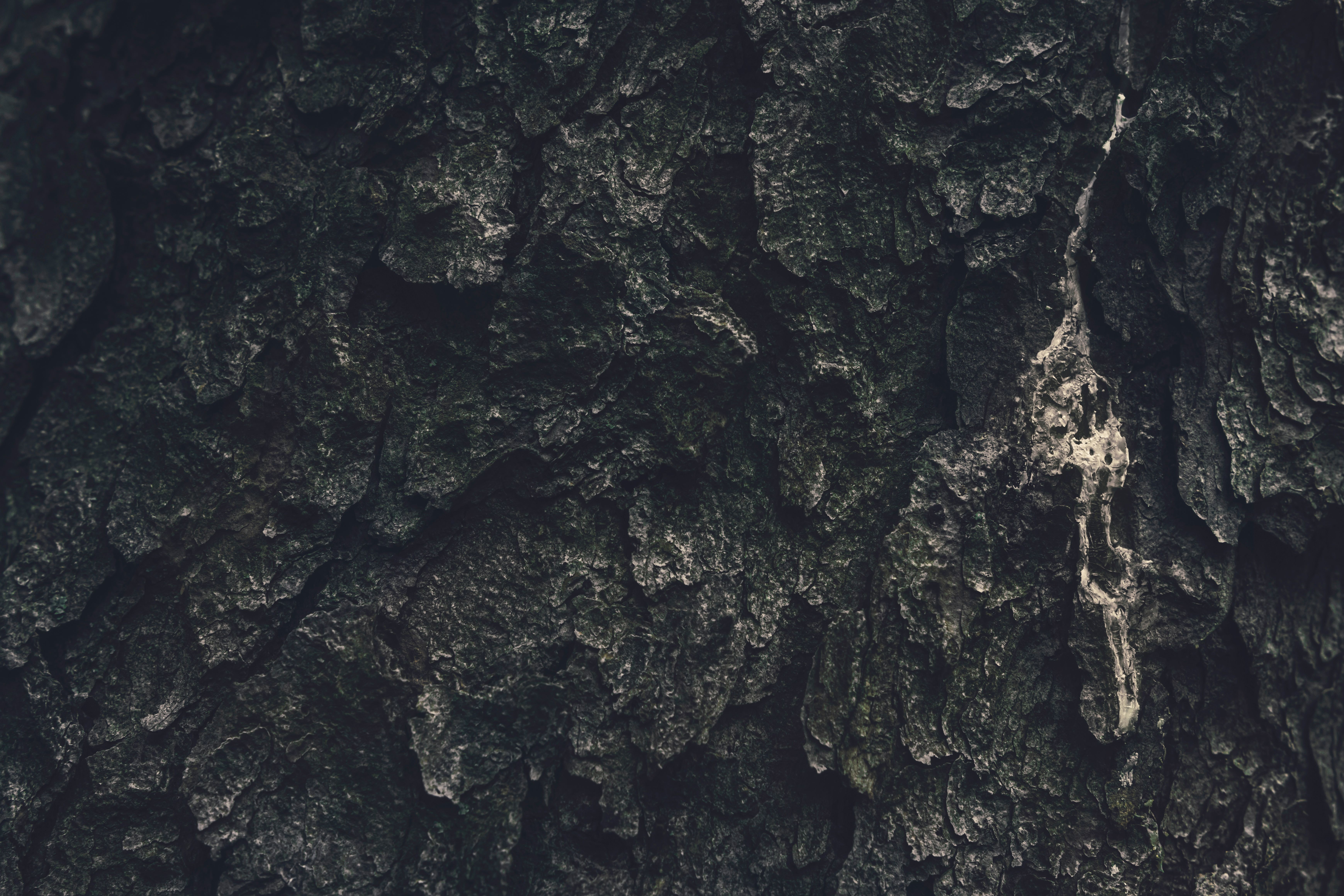 Dark Rock Texture · Free Stock Photo