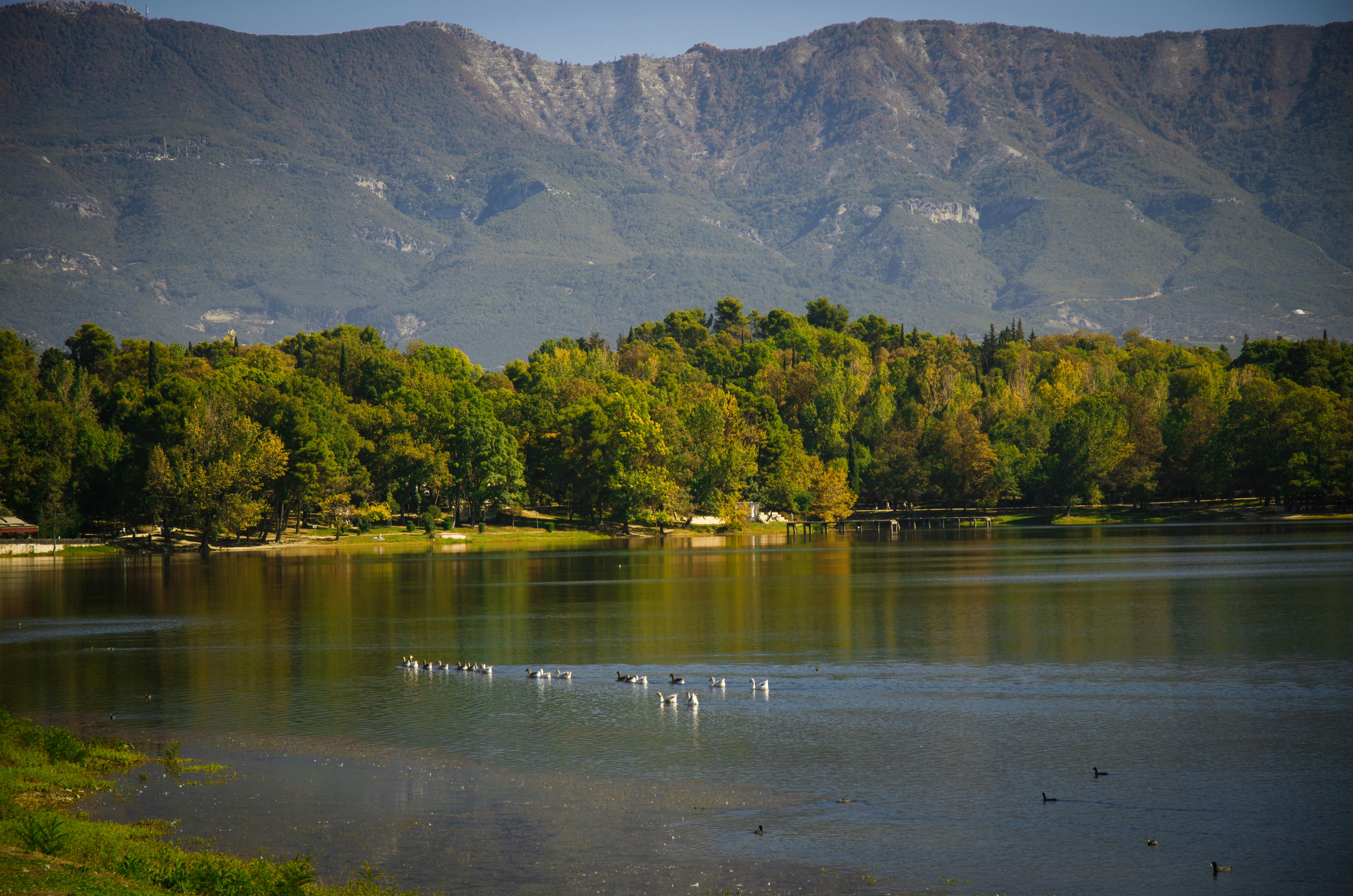 Floating Bar Photos, Download Free Floating Bar Stock Photos & HD Images