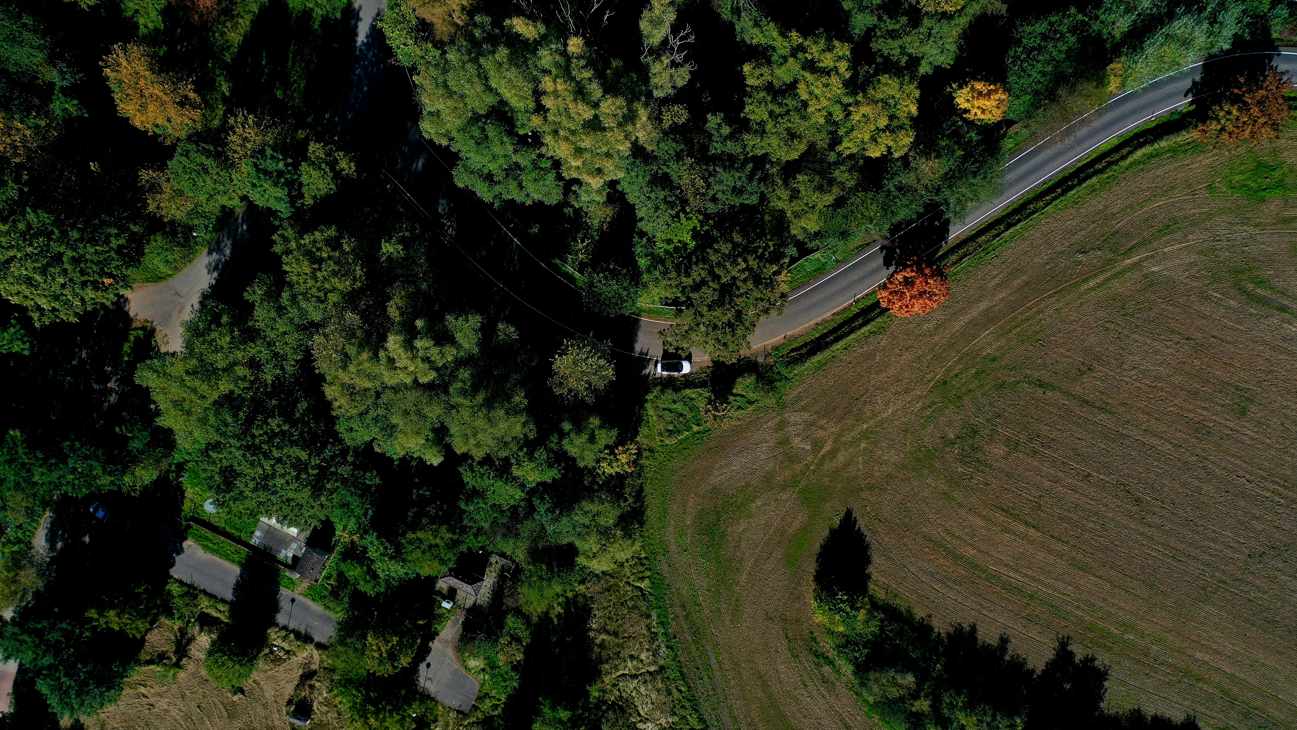 Cars on Road in Between Green Trees · Free Stock Photo