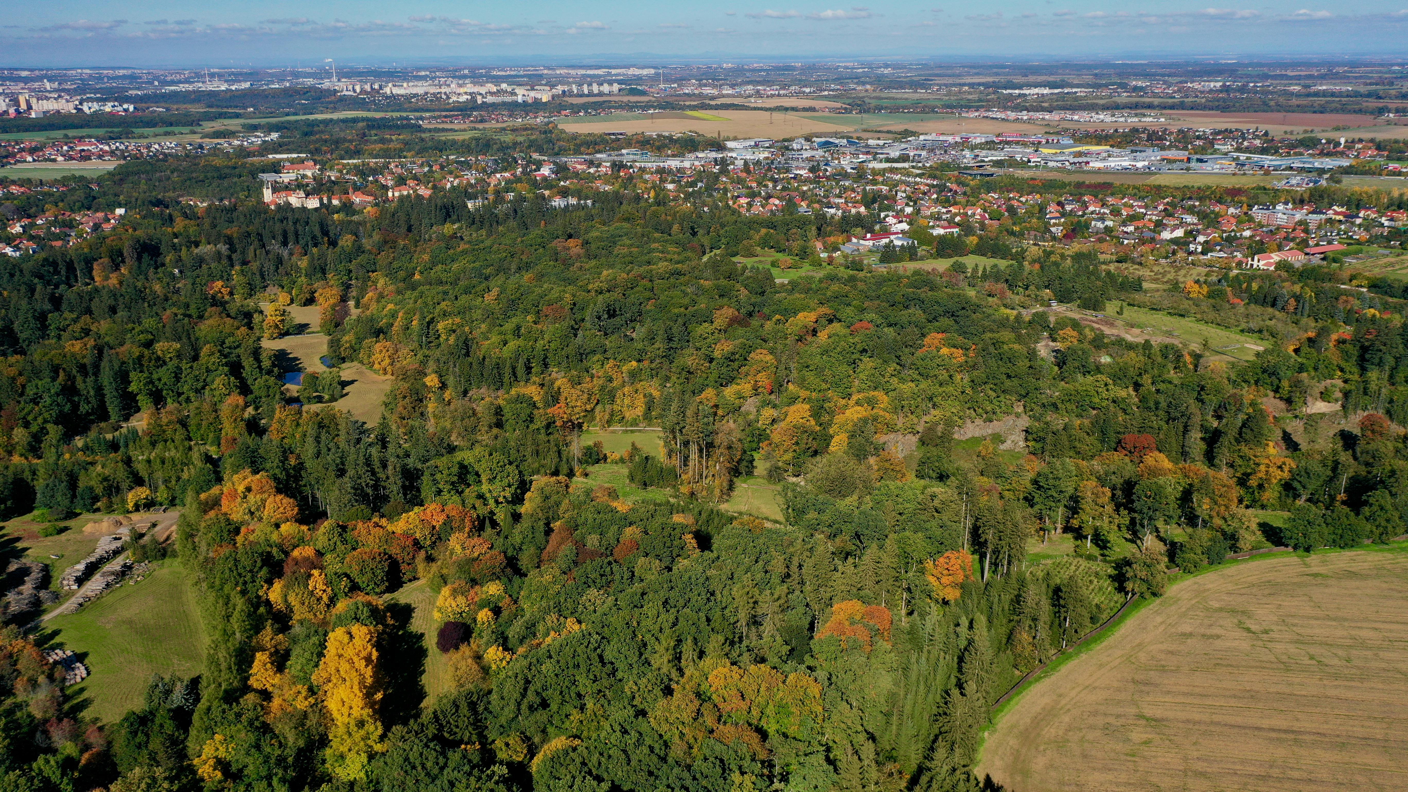 A Wide Land Covered with Green and Yellow Trees · Free Stock Photo