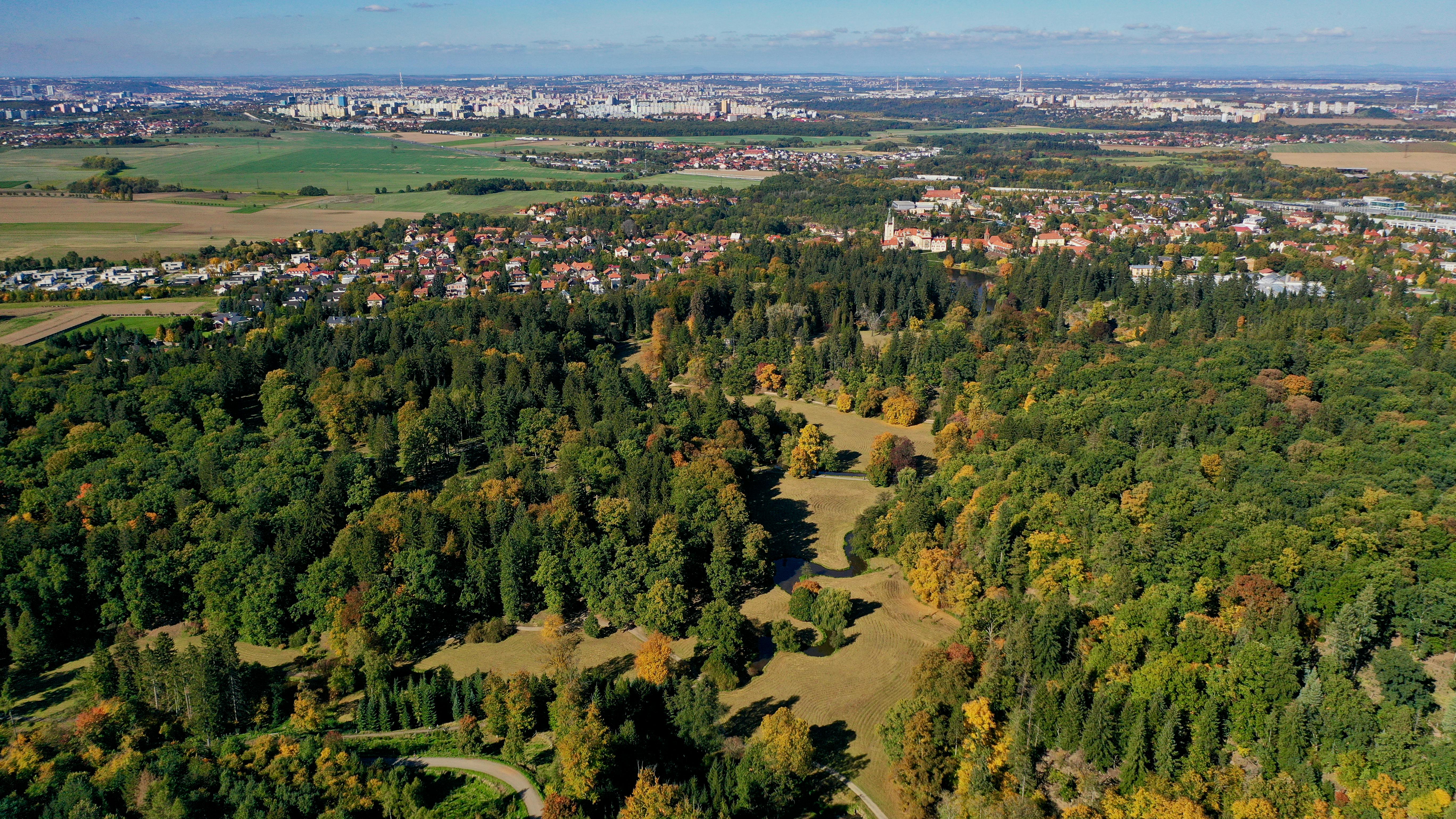 Aerial Photography of Tree in the Forest · Free Stock Photo