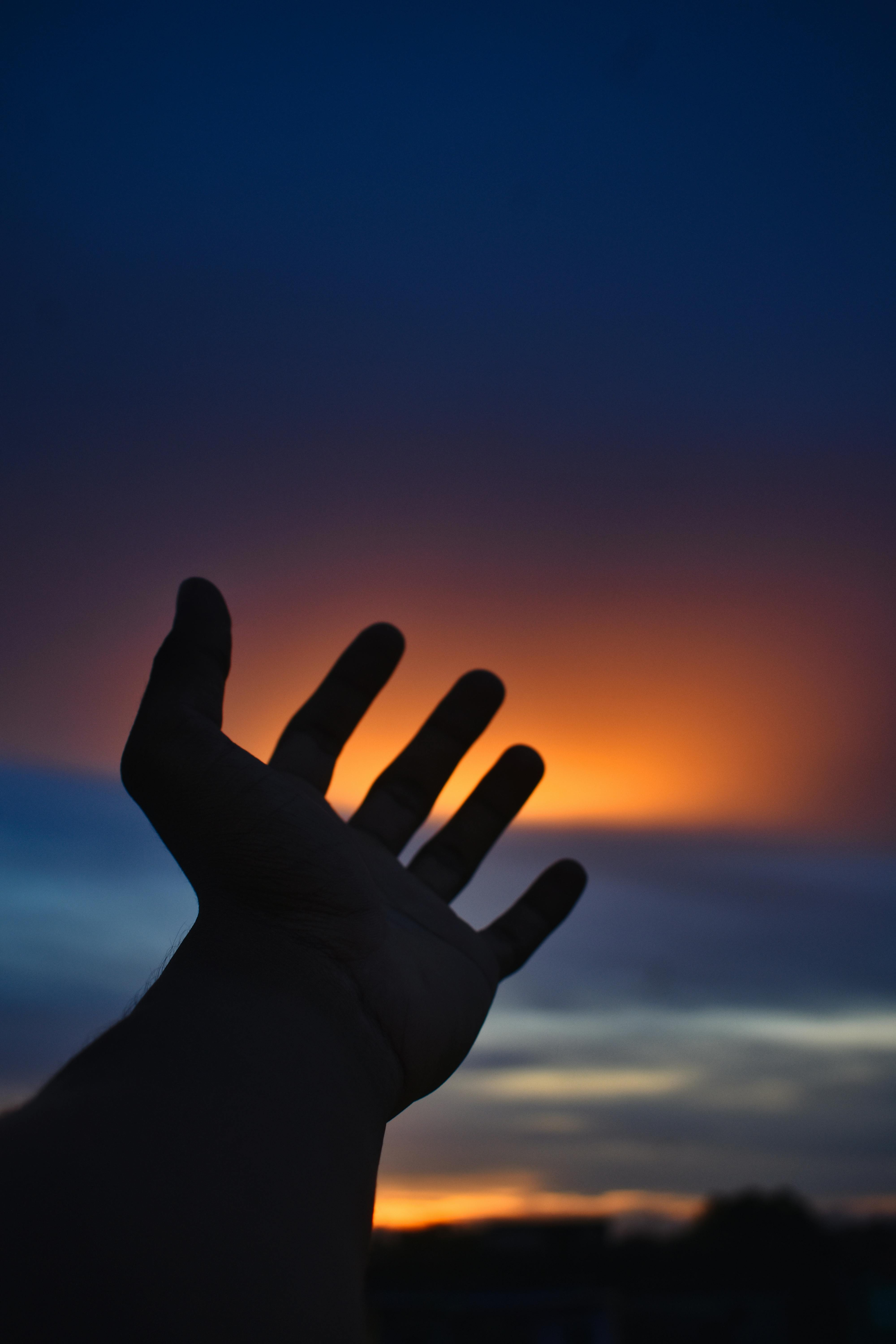 Silhouette of a Person's Hand · Free Stock Photo