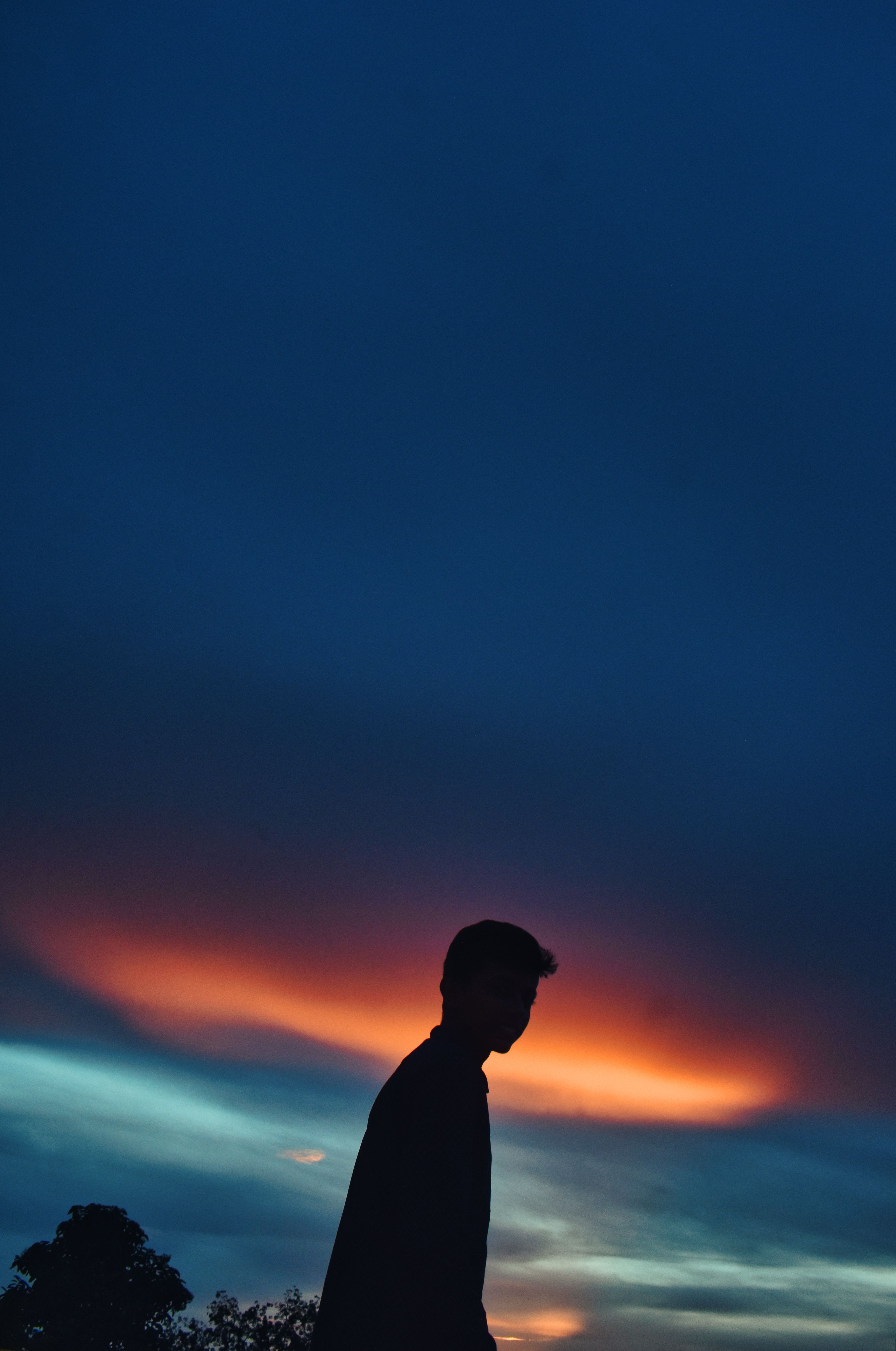 Man Standing on Tree Branch during Sunset · Free Stock Photo