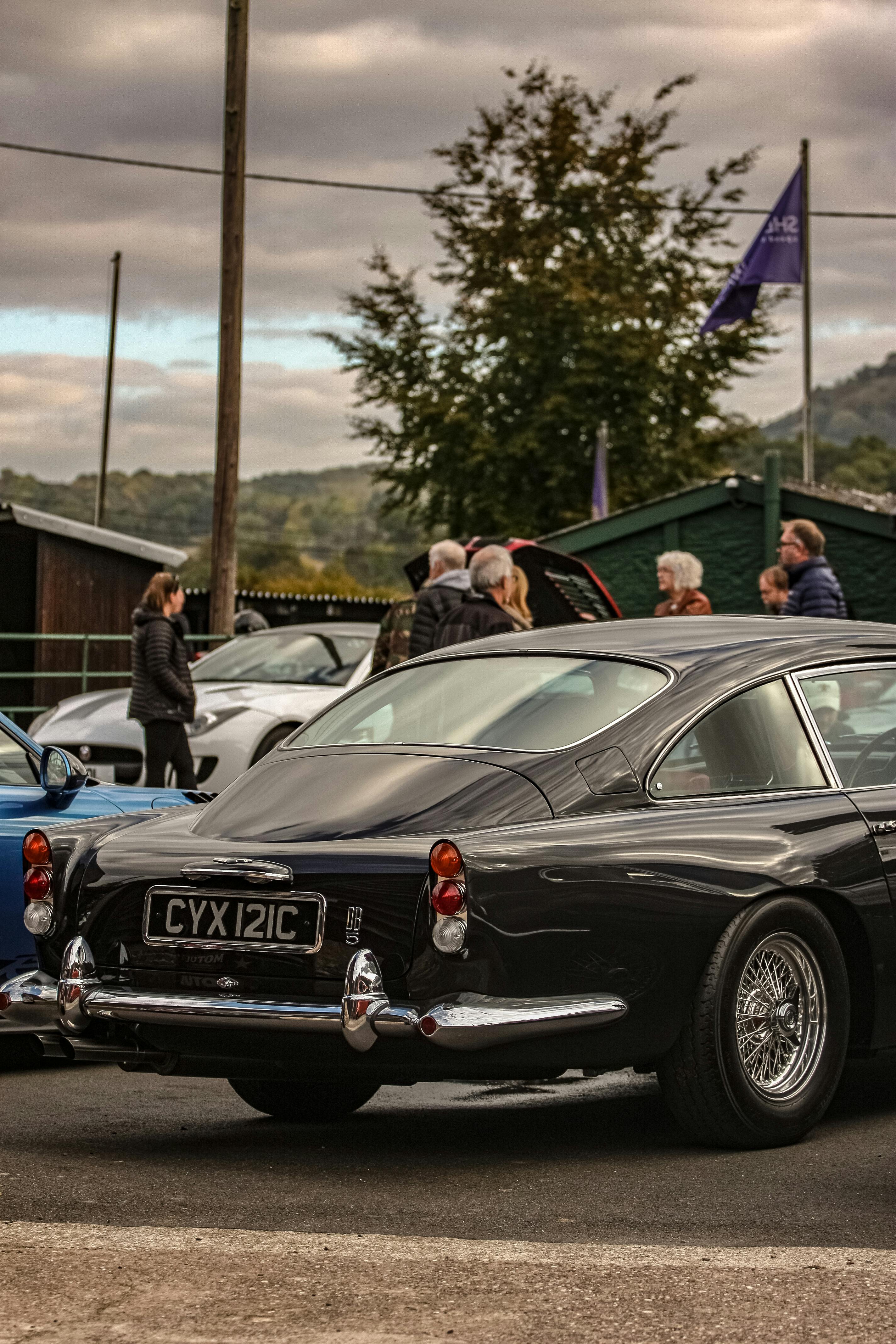 Japanies Tree Photos, Download The BEST Free Japanies Tree Stock Photos ...