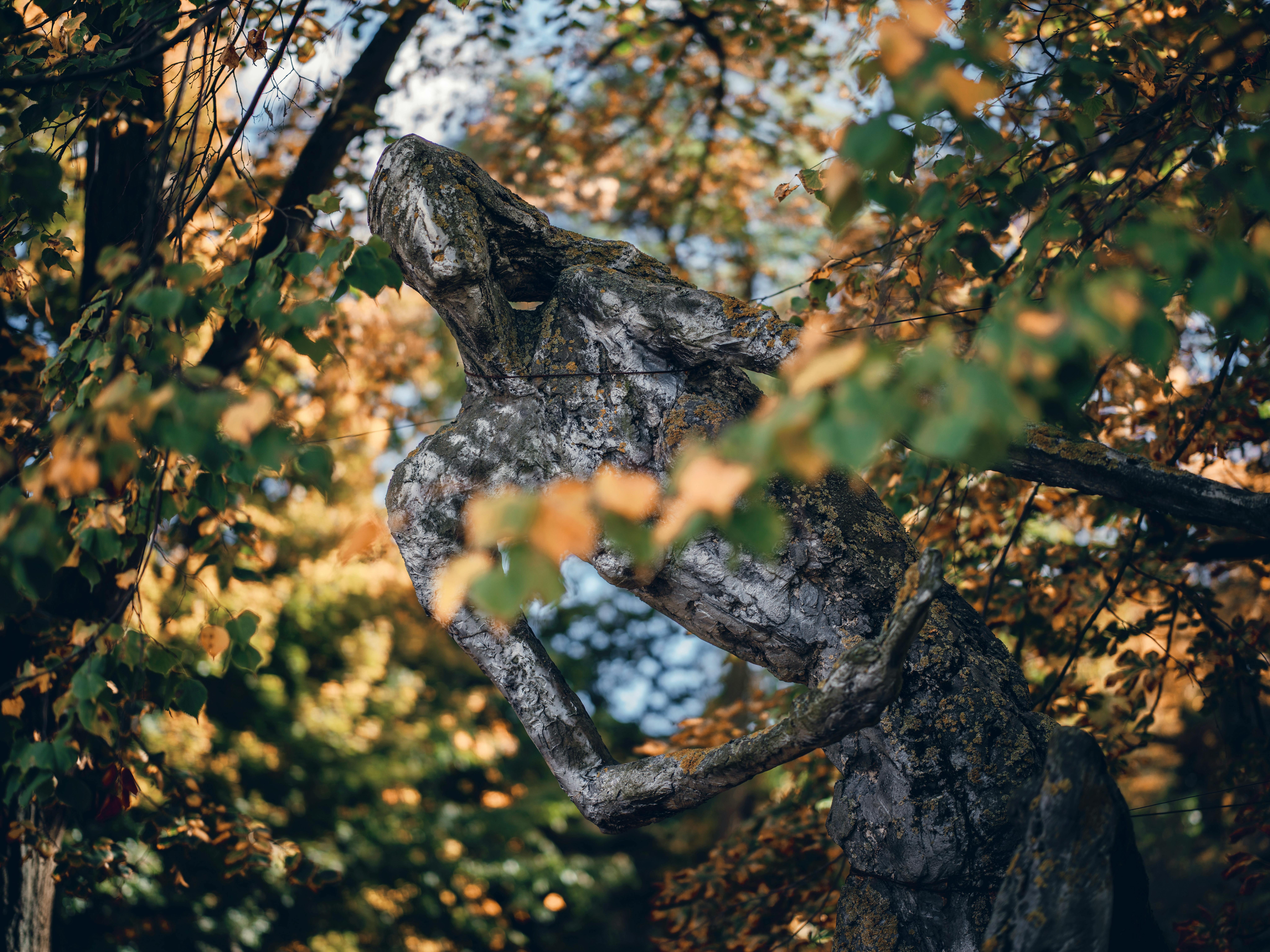 Gray Statue of Woman Near Trees · Free Stock Photo