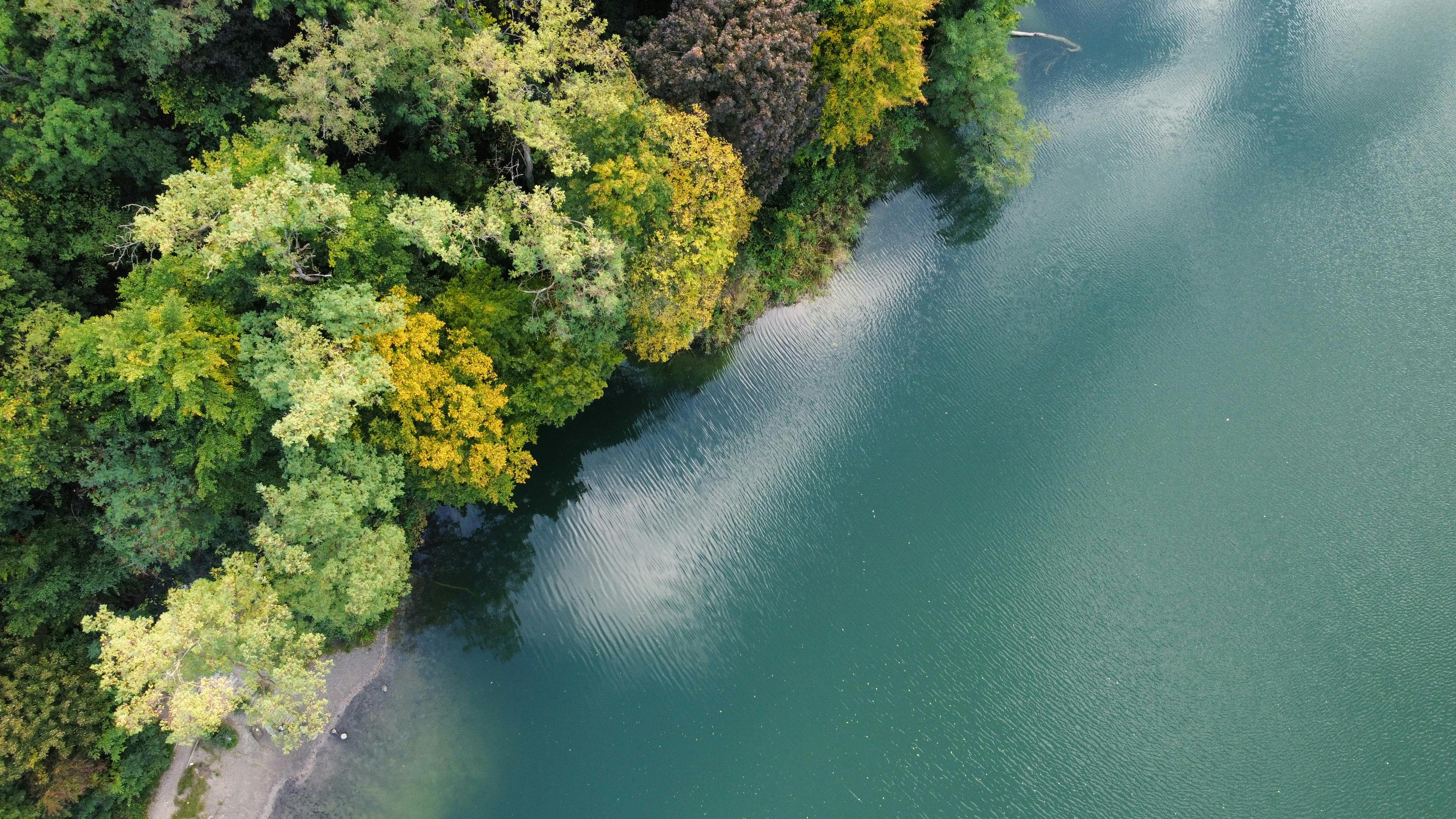Lake by Forest in Birds Eye View · Free Stock Photo