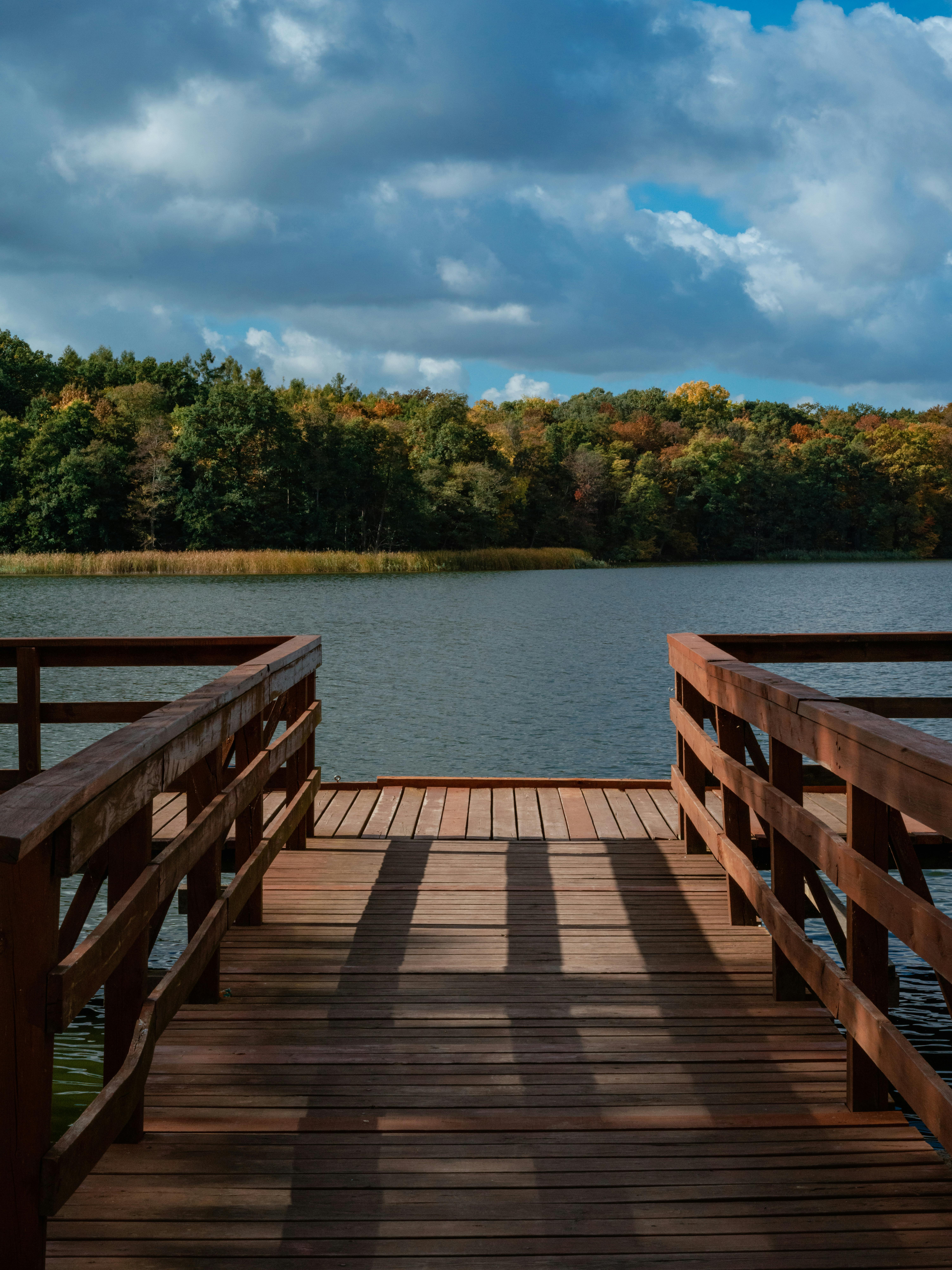 A Wooden Dock on the Lake · Free Stock Photo