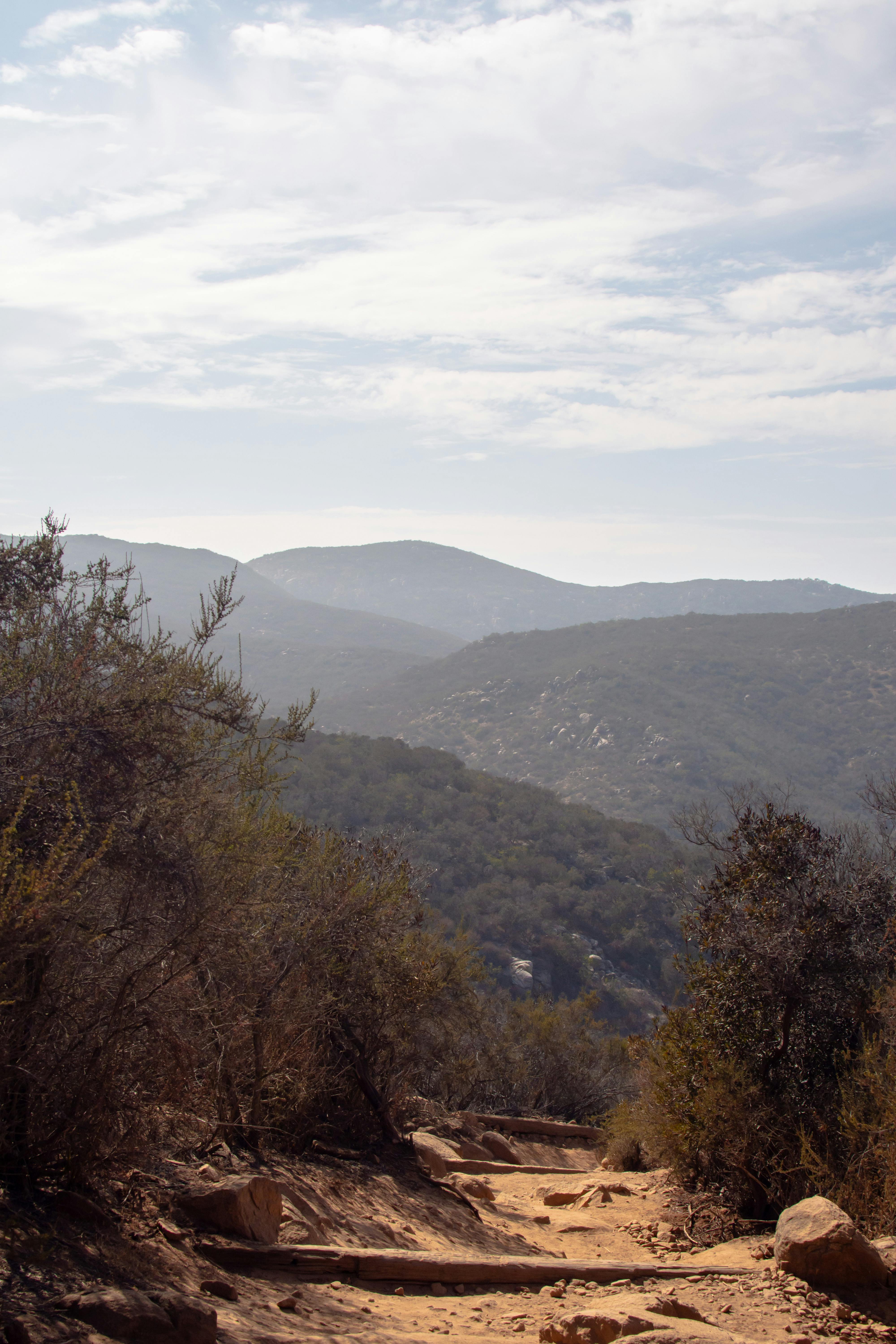 Ralph David · Photography