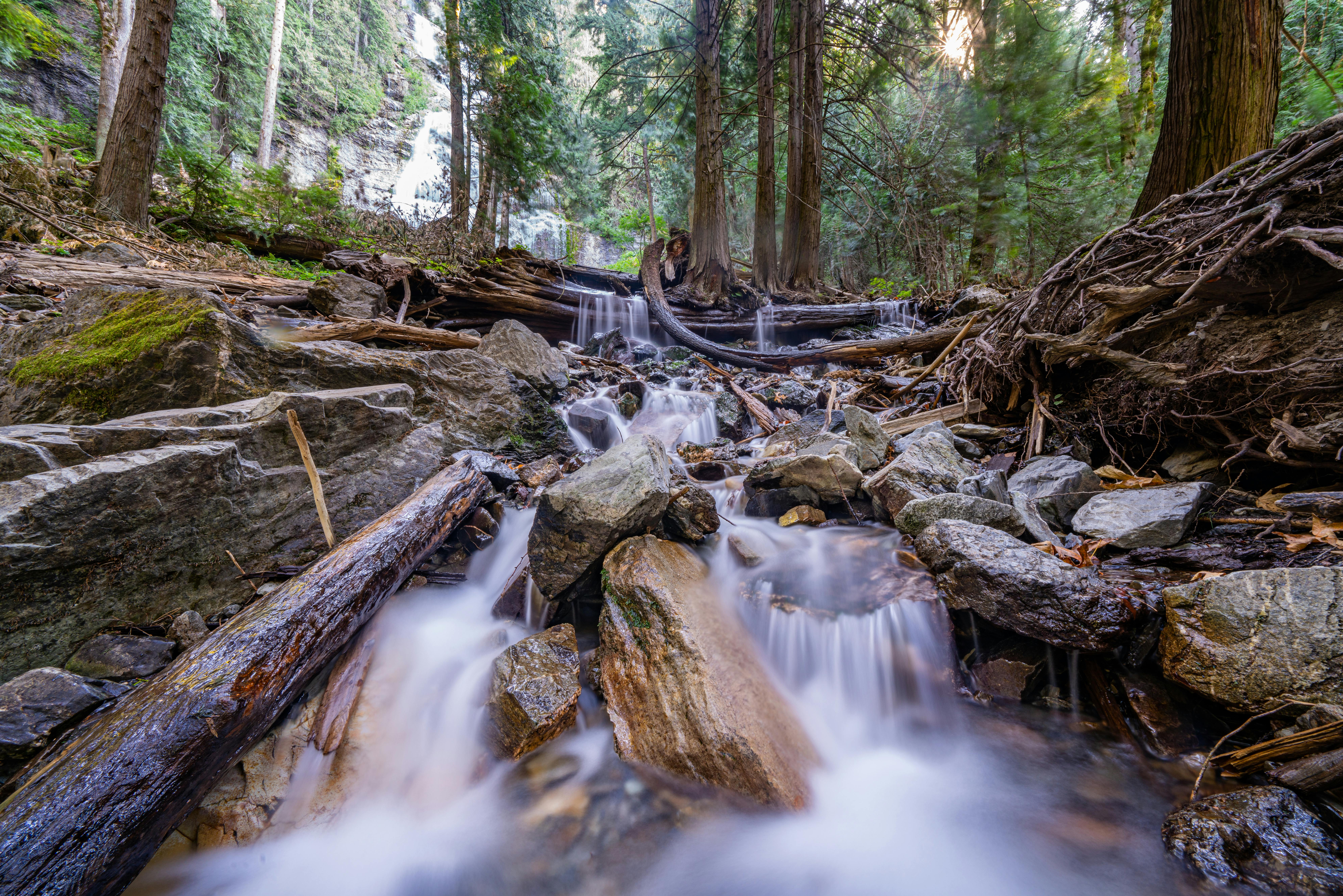 Waterfall on Rocks in Forest · Free Stock Photo