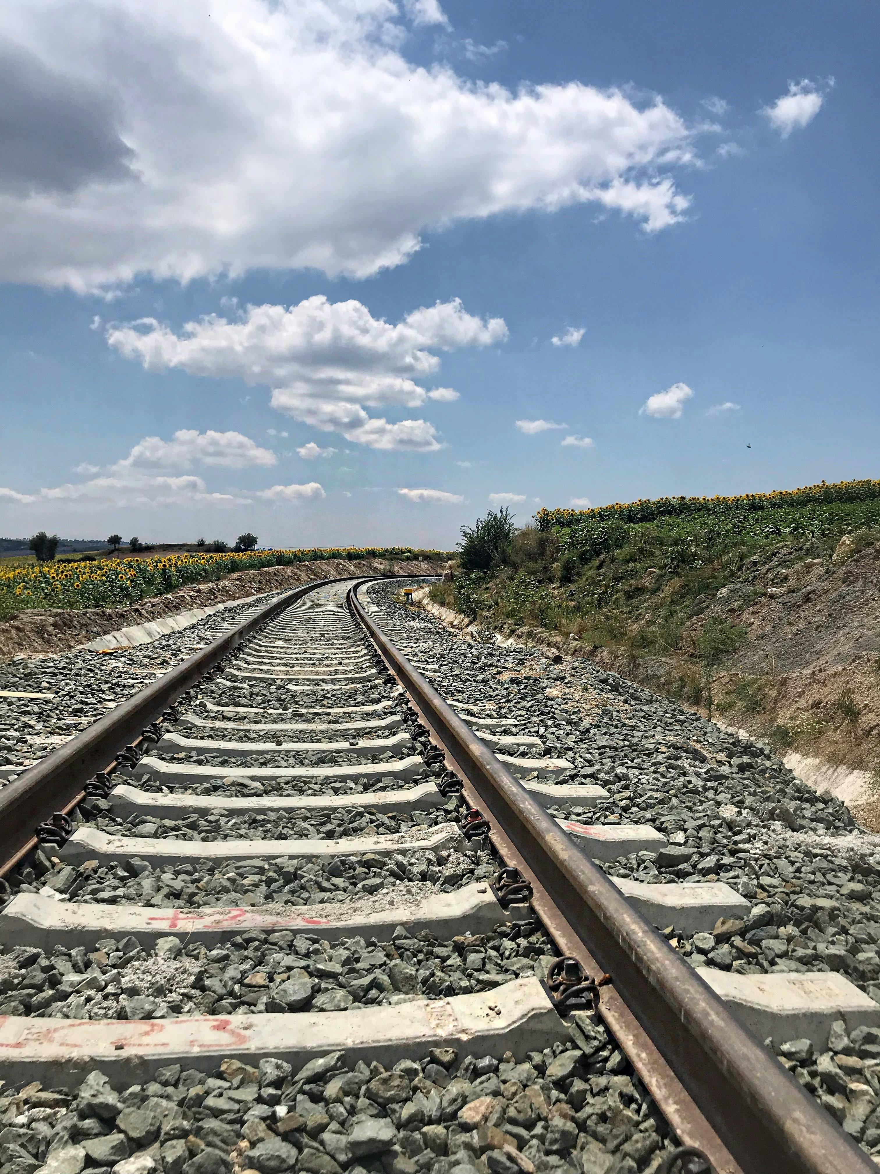 Long Train Track in Between Trees · Free Stock Photo