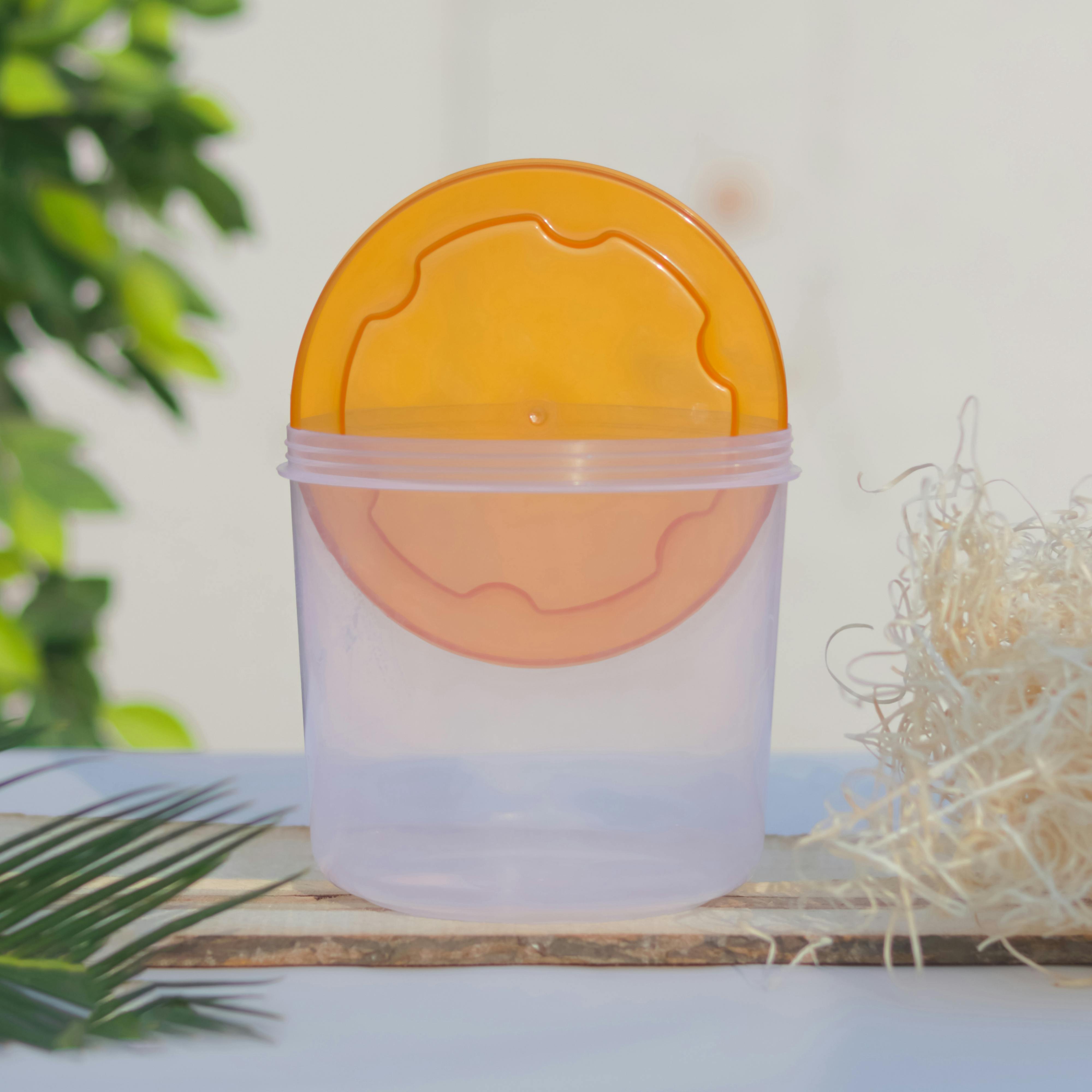 Plastic Containers with Blue Lid · Free Stock Photo