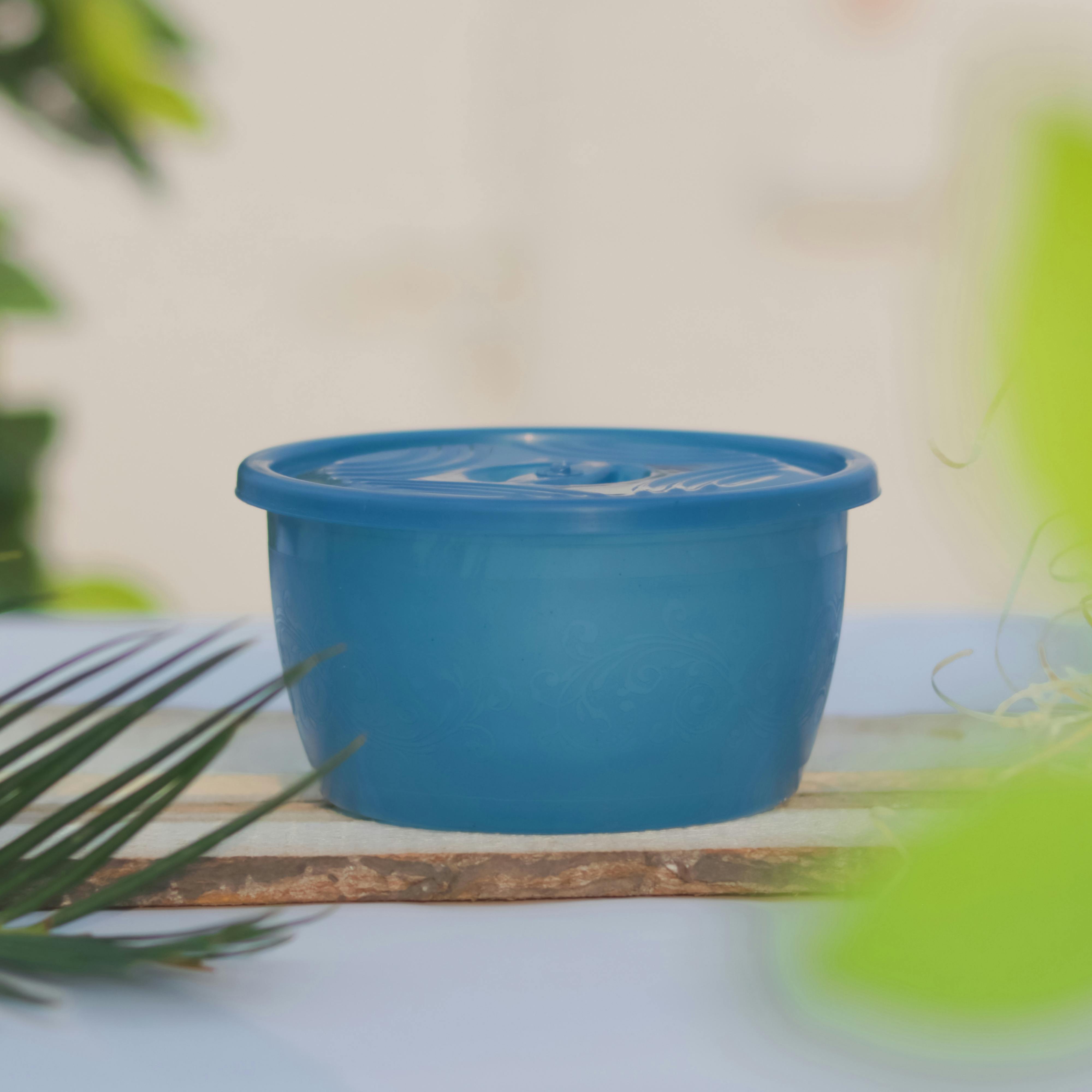 Photo of a Blue Plastic Food Container, and Green Plants · Free Stock Photo