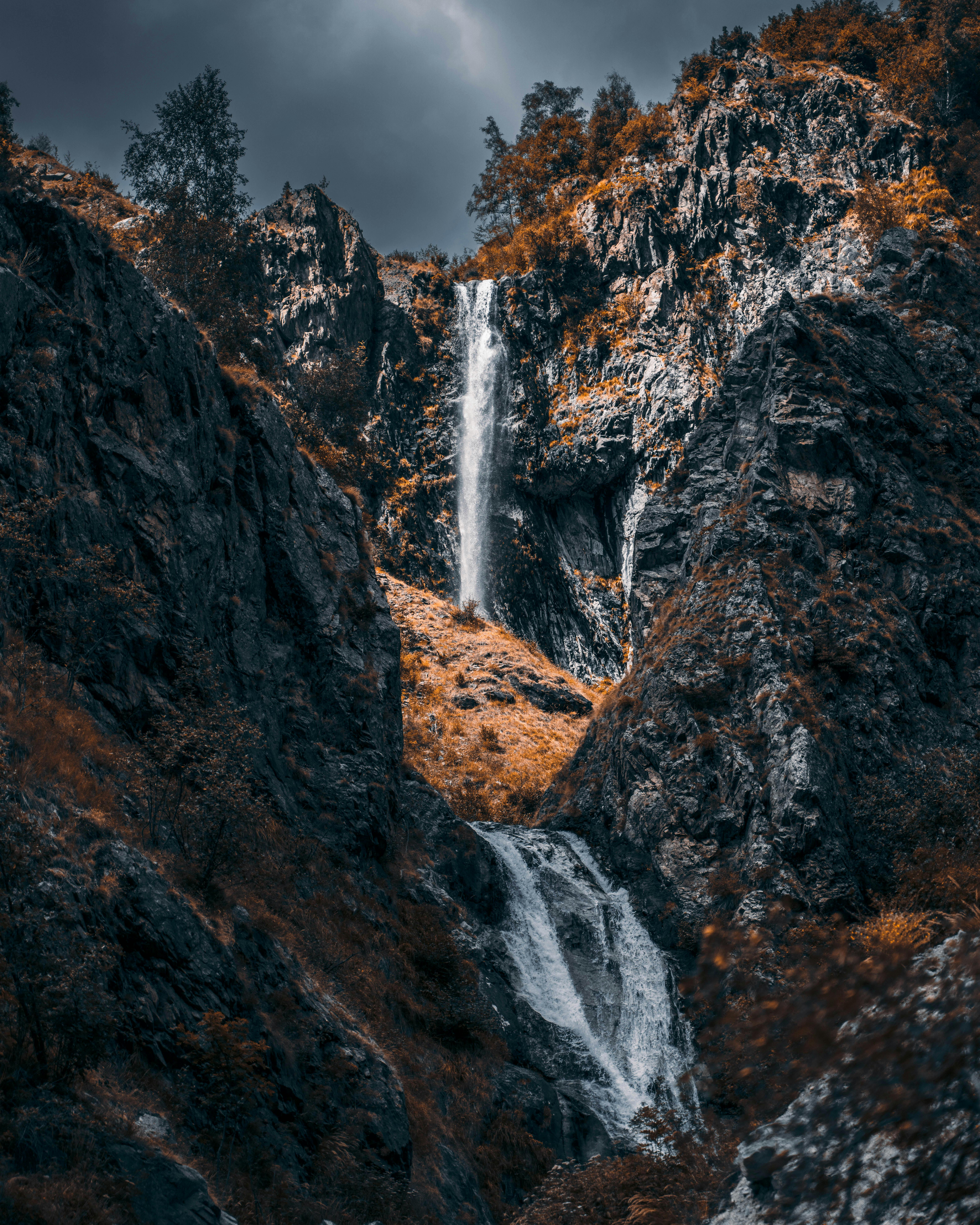 Melhores imagens de Tomm · Download 100% grátis · Fotos profissionais ...