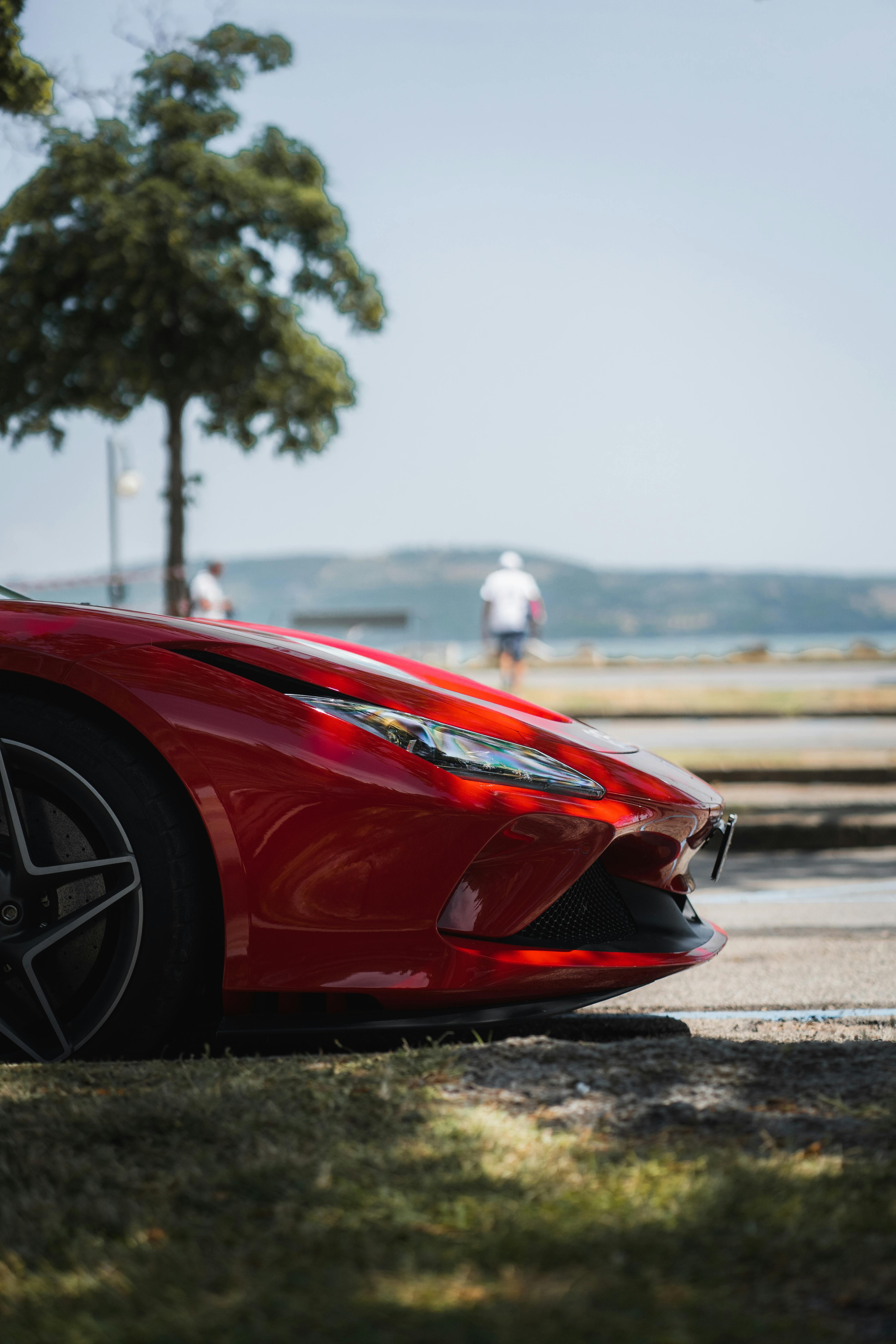 Close up of Ferrari with Tree behind · Free Stock Photo